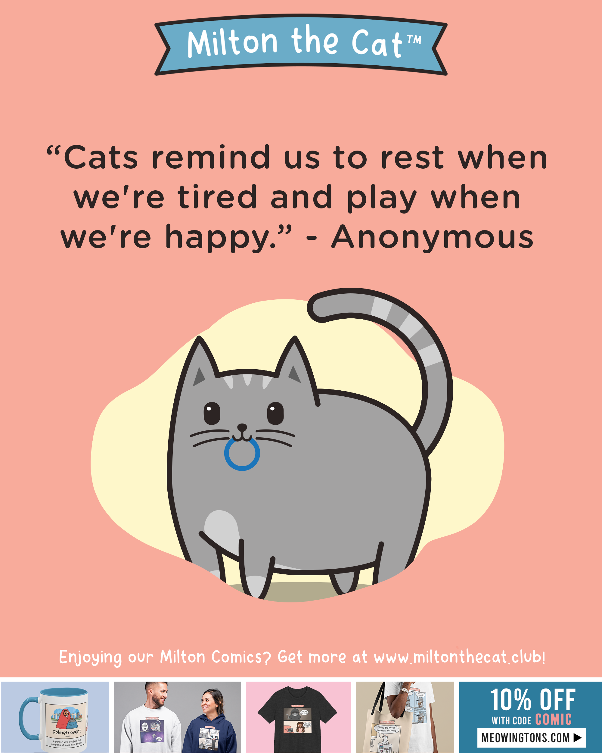 Wednesday Wisdom: Reminders – Meowingtons