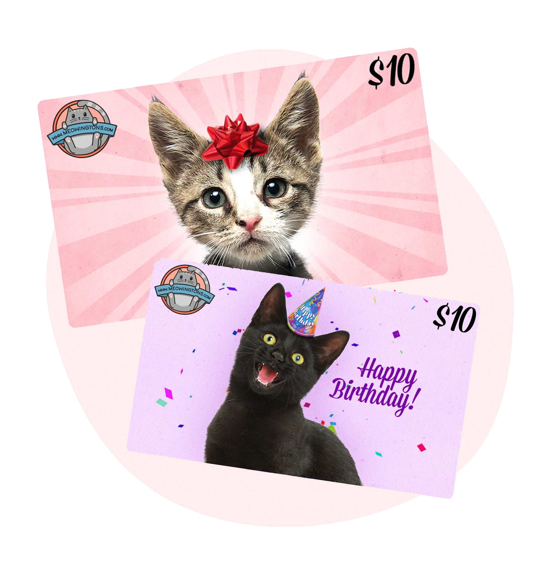 Cat Themed Gift Cards | Birthday, Anniversary and Thank You Card ...