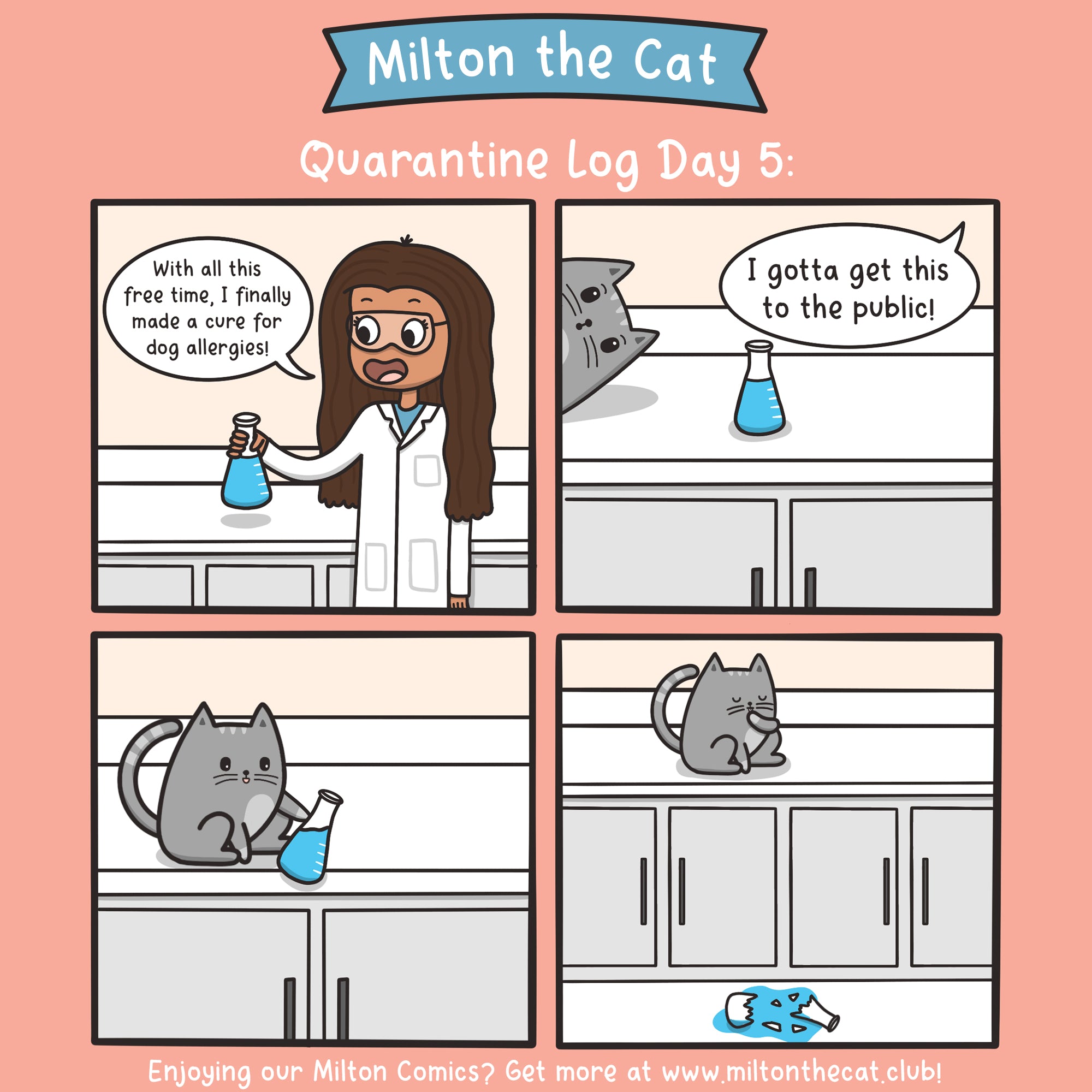 Quarantine Log: Day 5 – Meowingtons