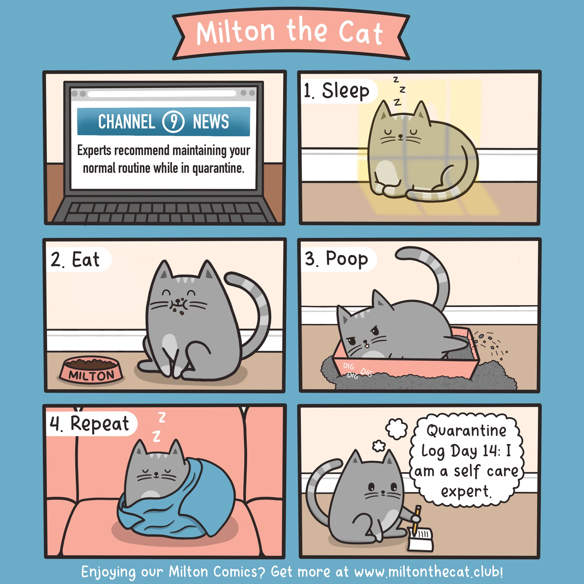 Quarantine Log: Day 14 – Meowingtons