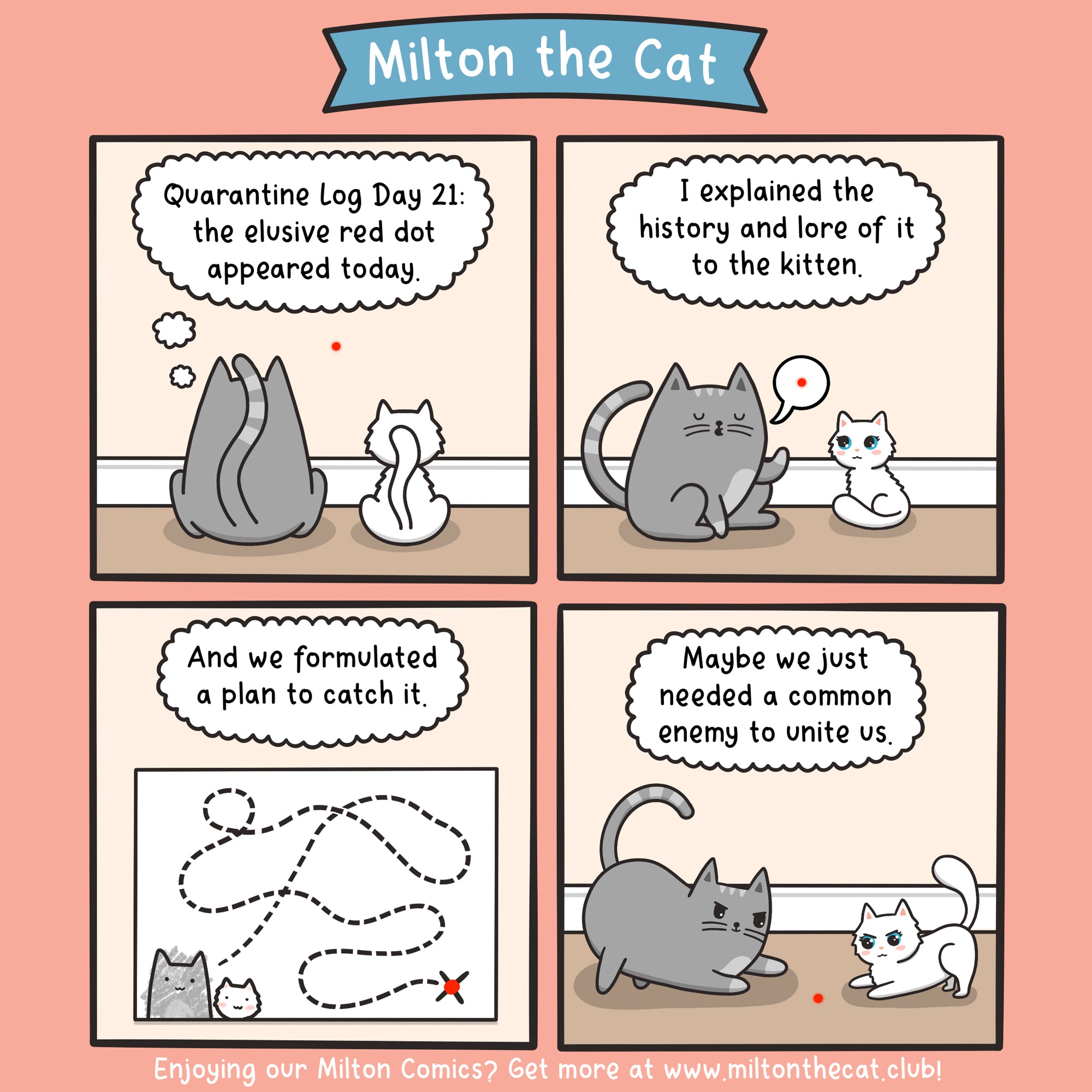 Quarantine Log: Day 21 – Meowingtons