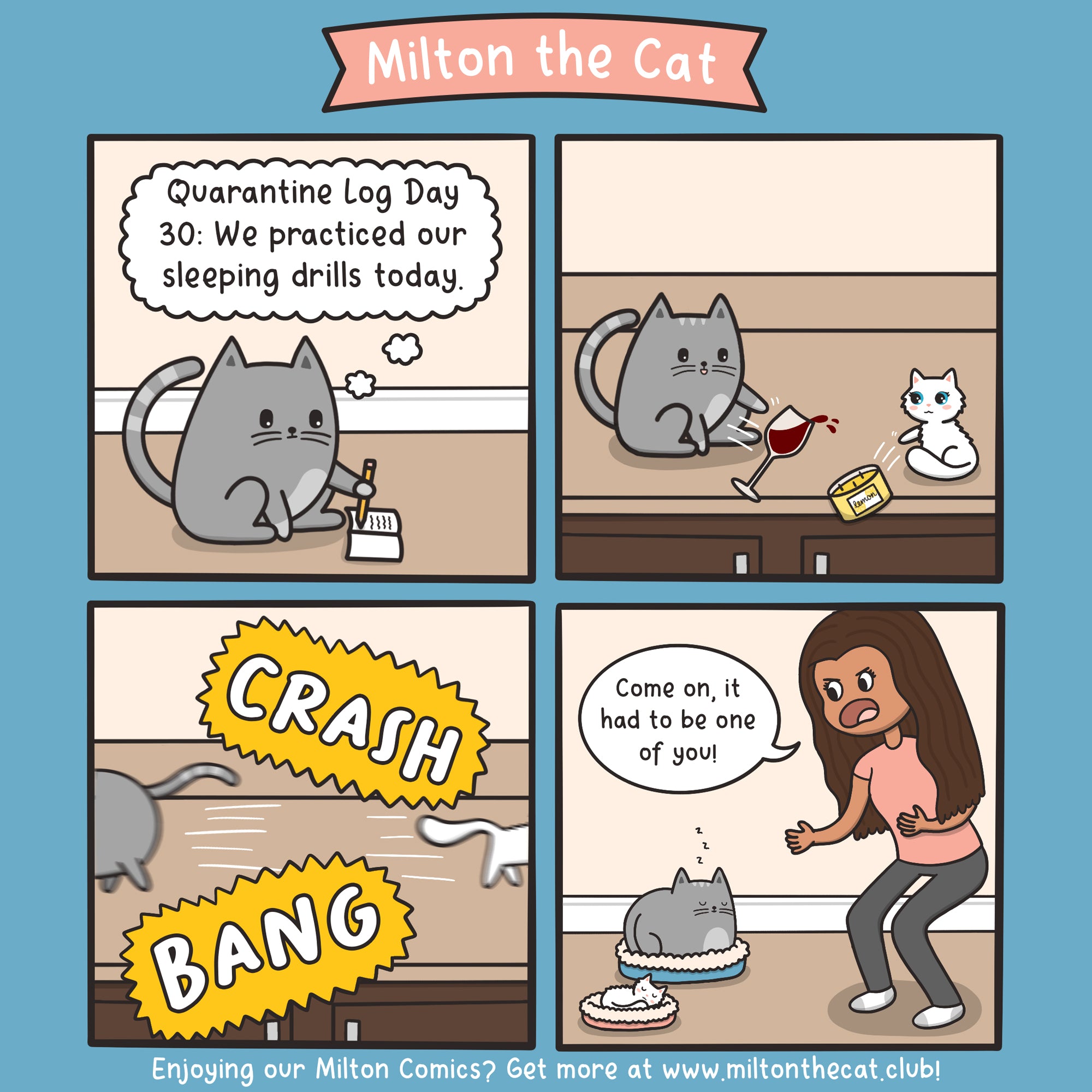 Quarantine Log: Day 30 – Meowingtons