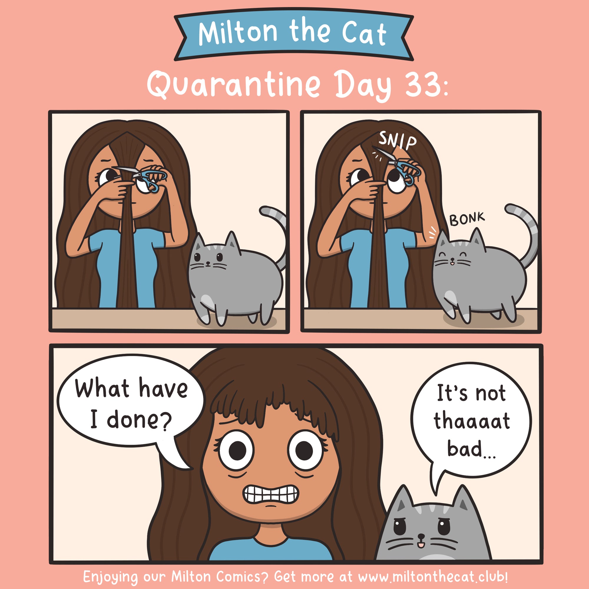 Quarantine Log: Day 33 – Meowingtons