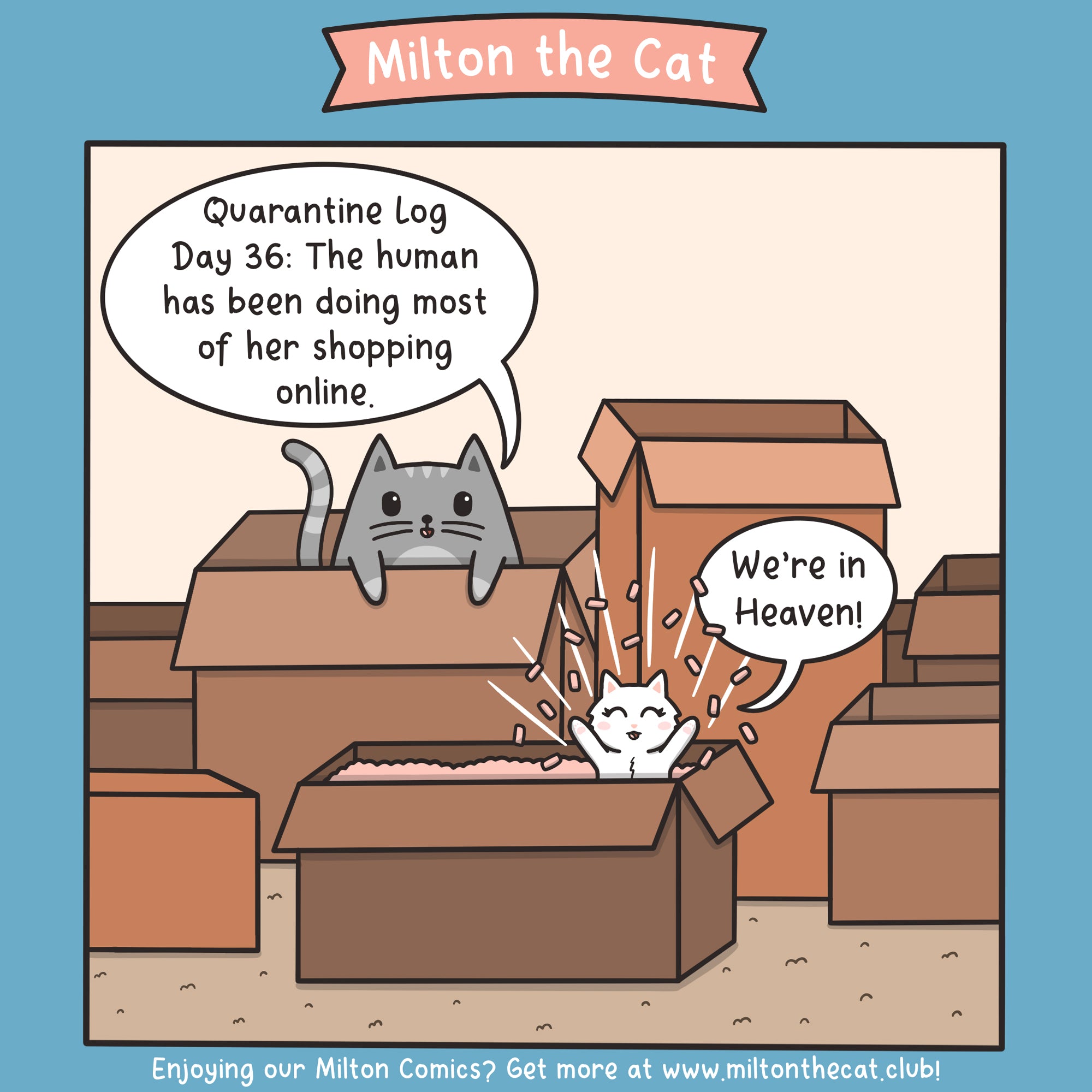 Quarantine Log: Day 36 – Meowingtons