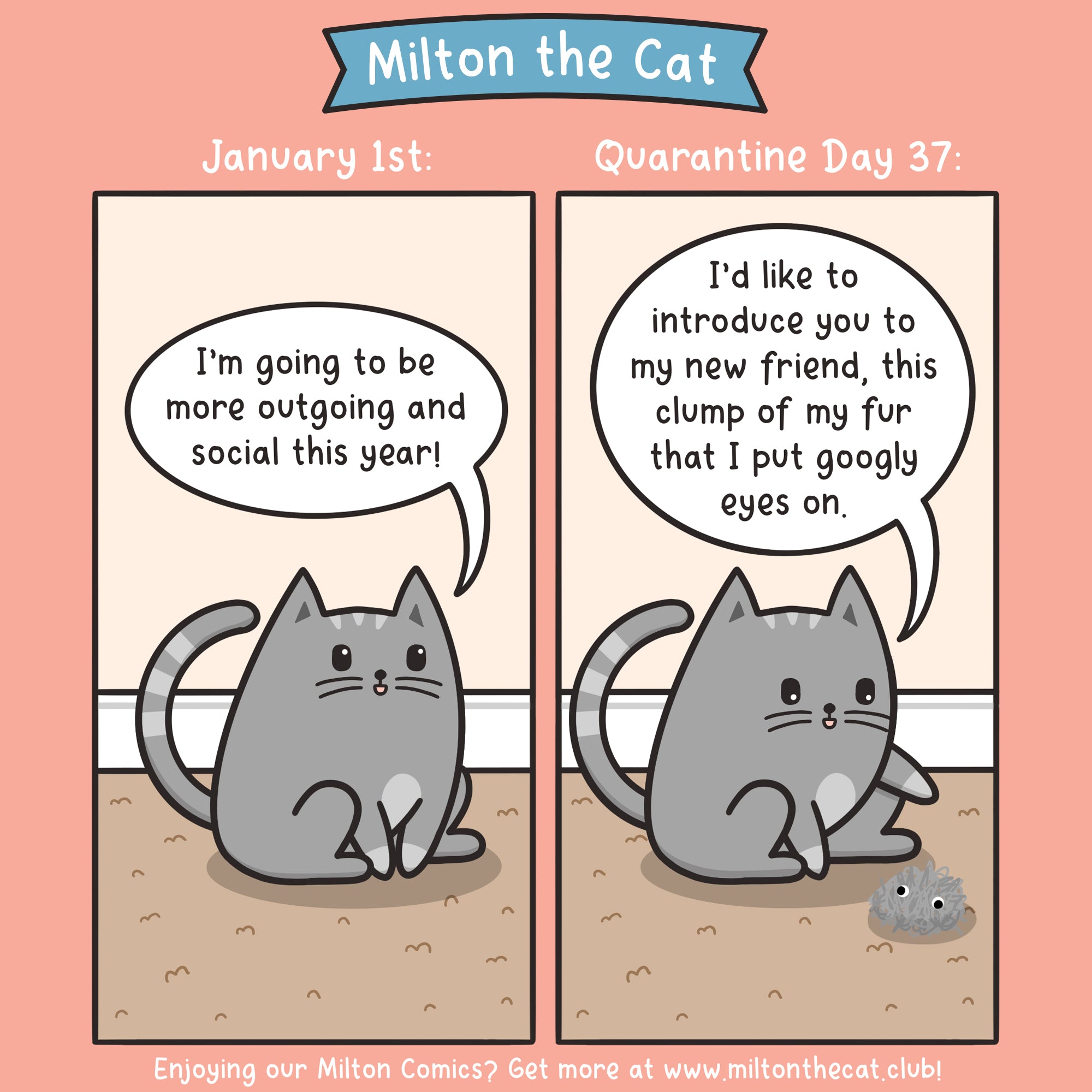 Quarantine Log: Day 37 – Meowingtons