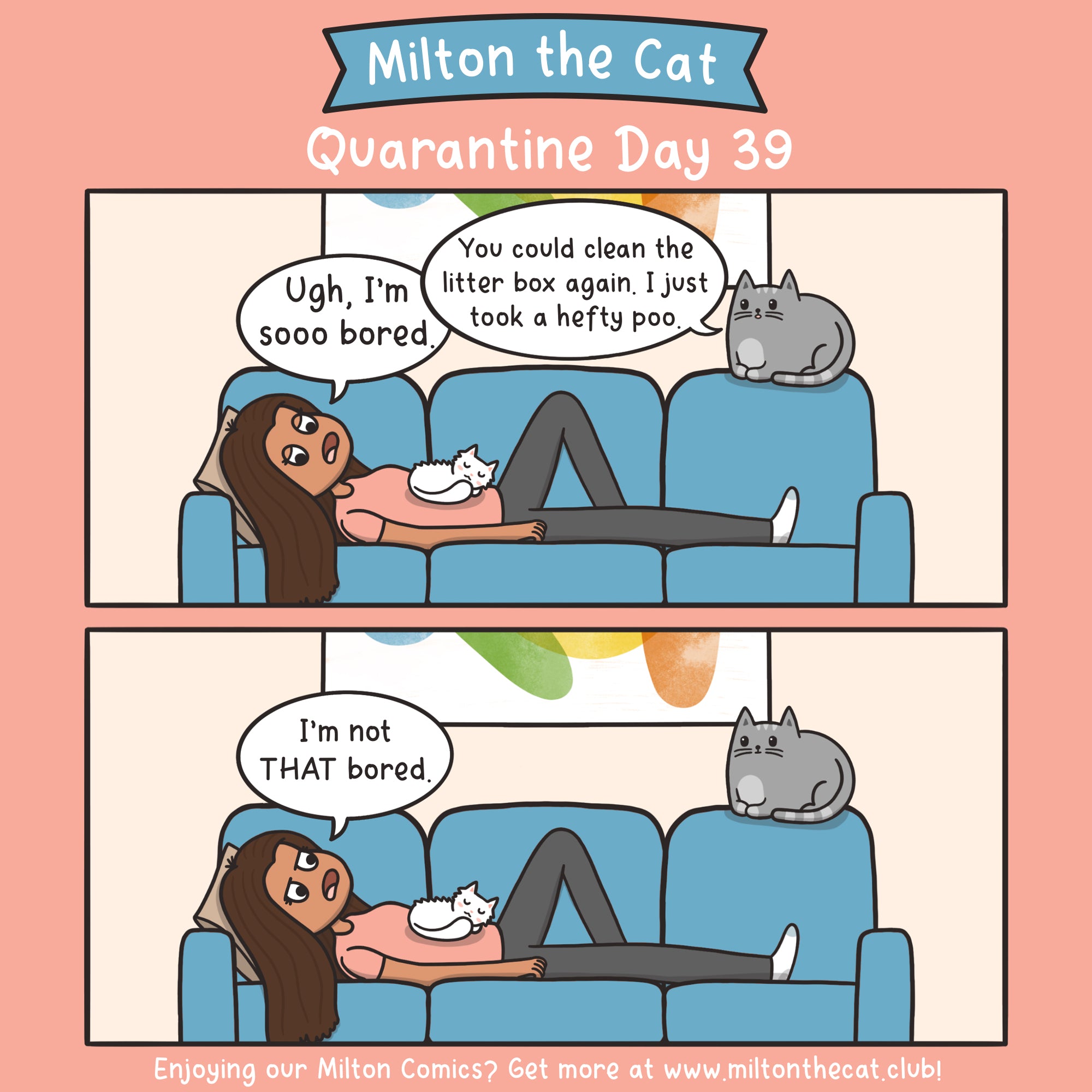 Quarantine Log: Day 39 – Meowingtons