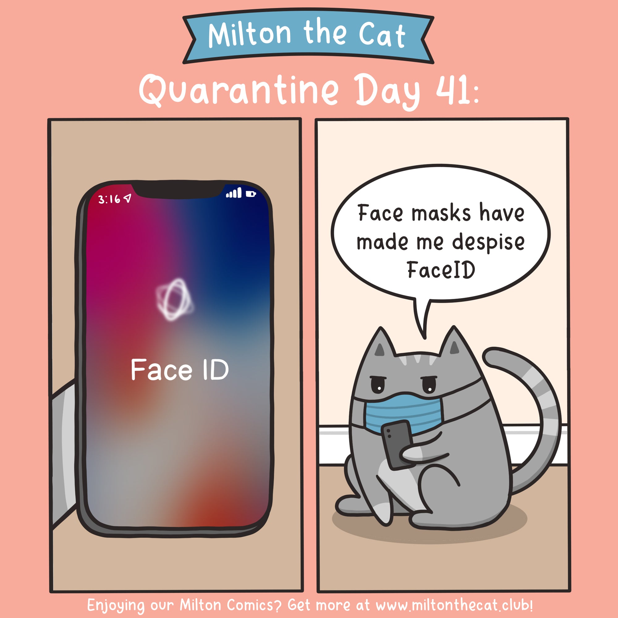 Quarantine Log: Day 41 – Meowingtons
