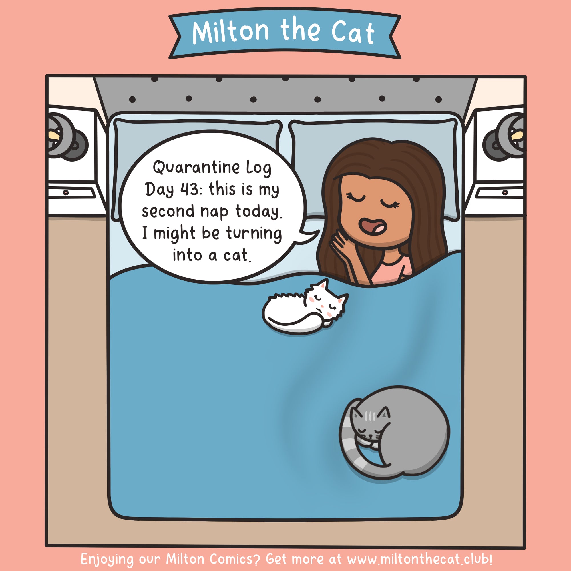 Quarantine Log: Day 43 – Meowingtons