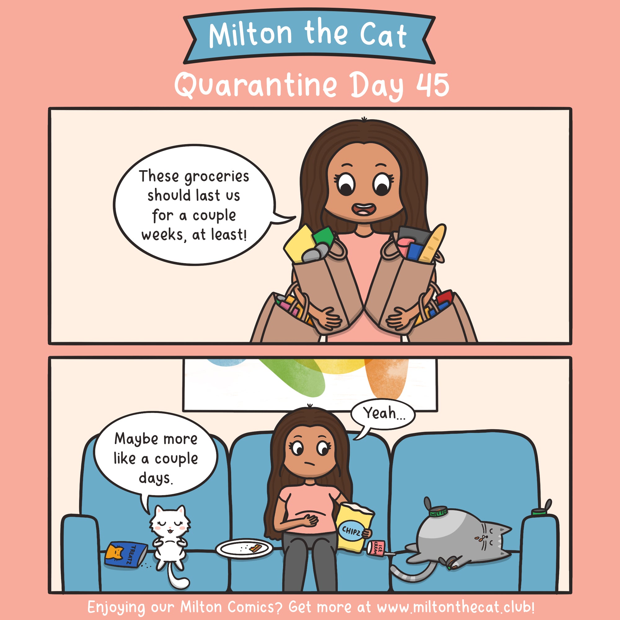 Quarantine Log: Day 45 – Meowingtons