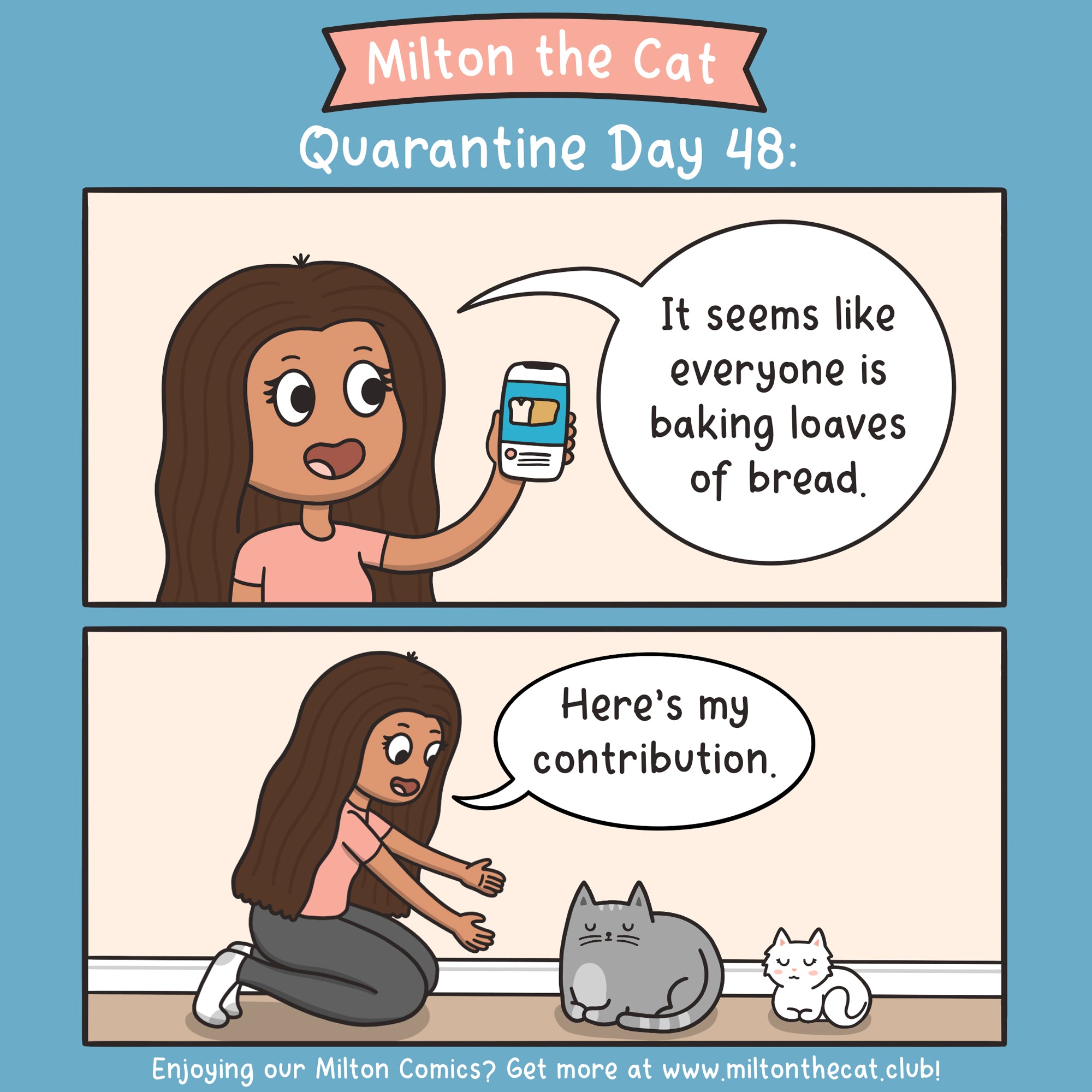 Quarantine Log: Day 48 – Meowingtons