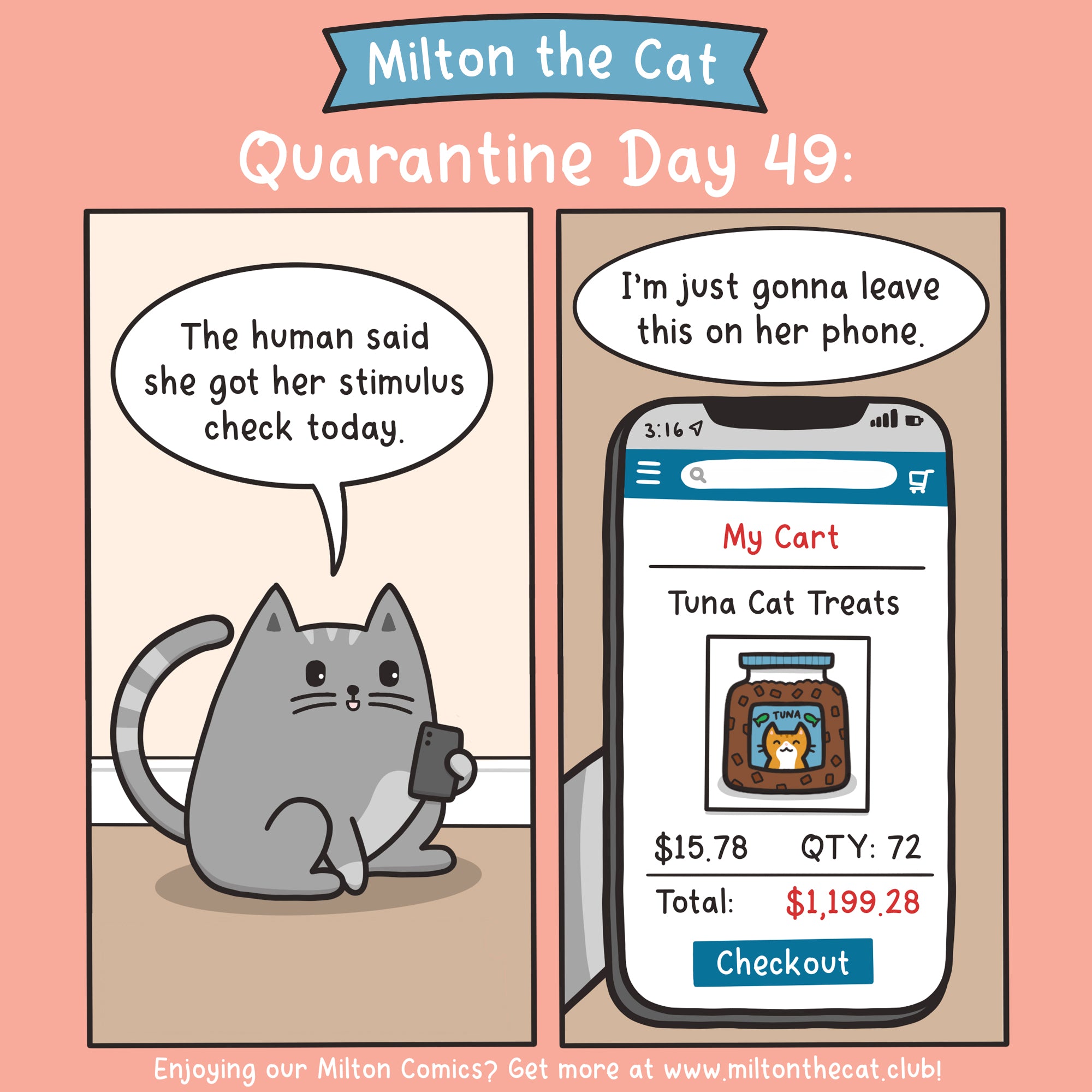 Quarantine Log: Day 49 – Meowingtons