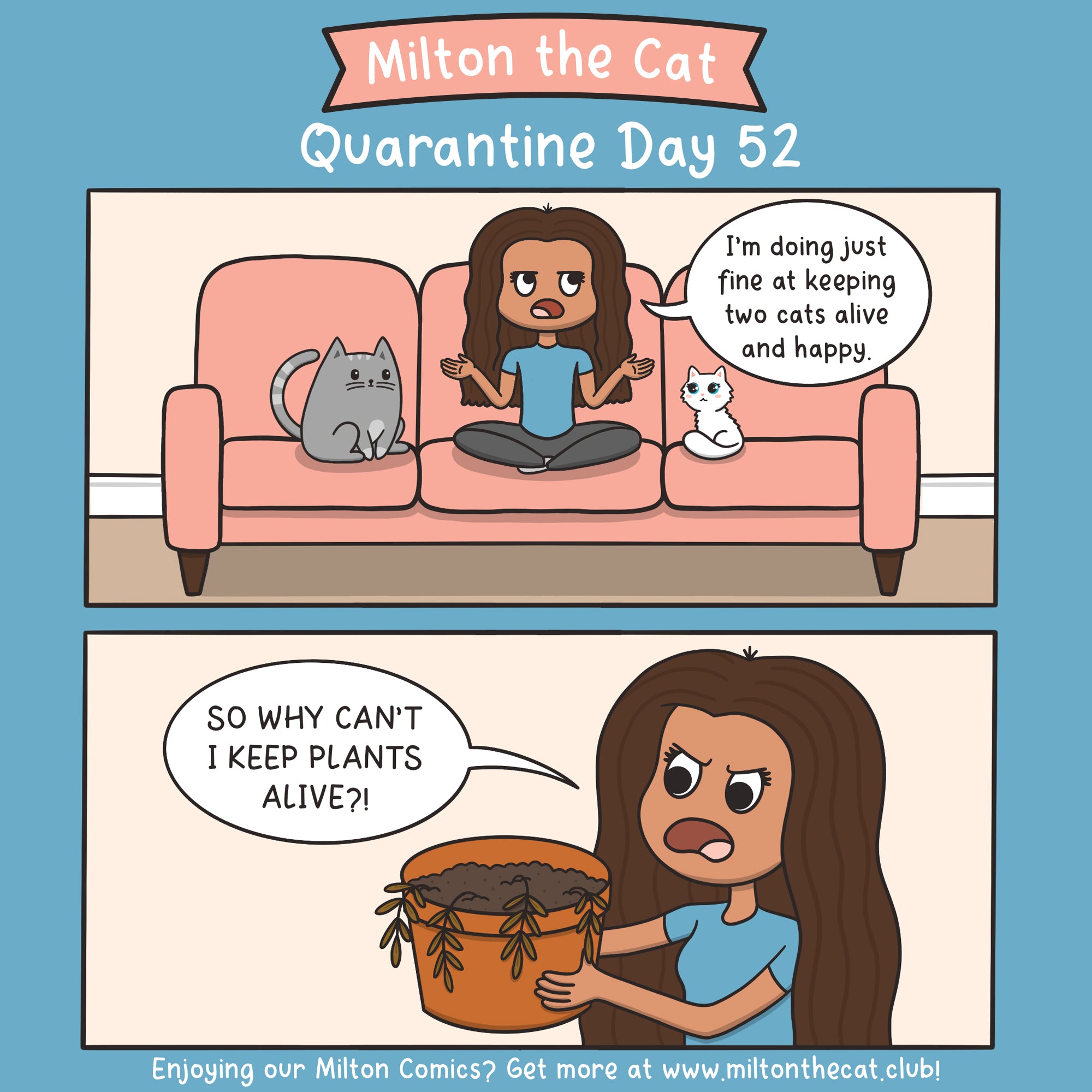 Quarantine Log: Day 52 – Meowingtons