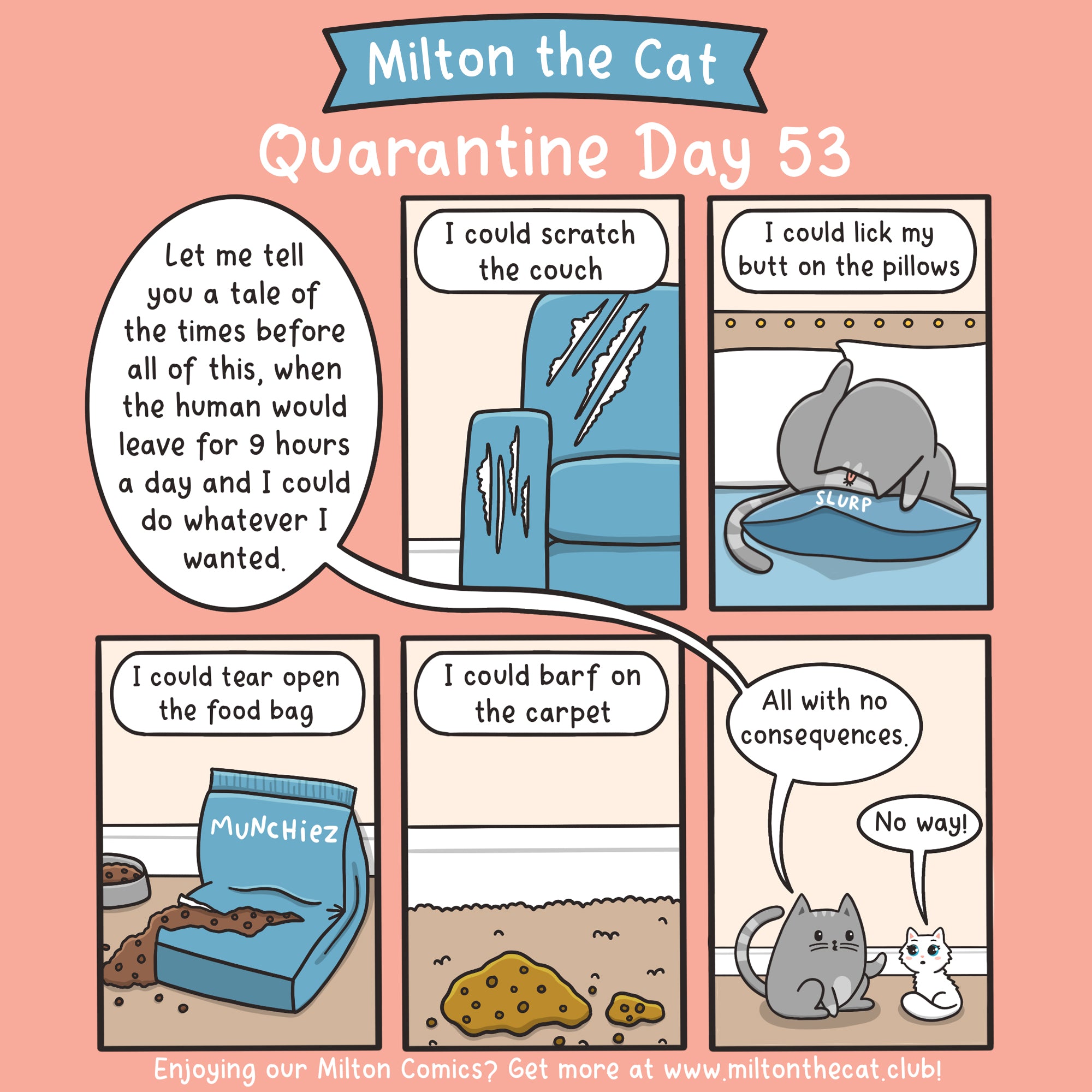 Quarantine Log: Day 53 – Meowingtons