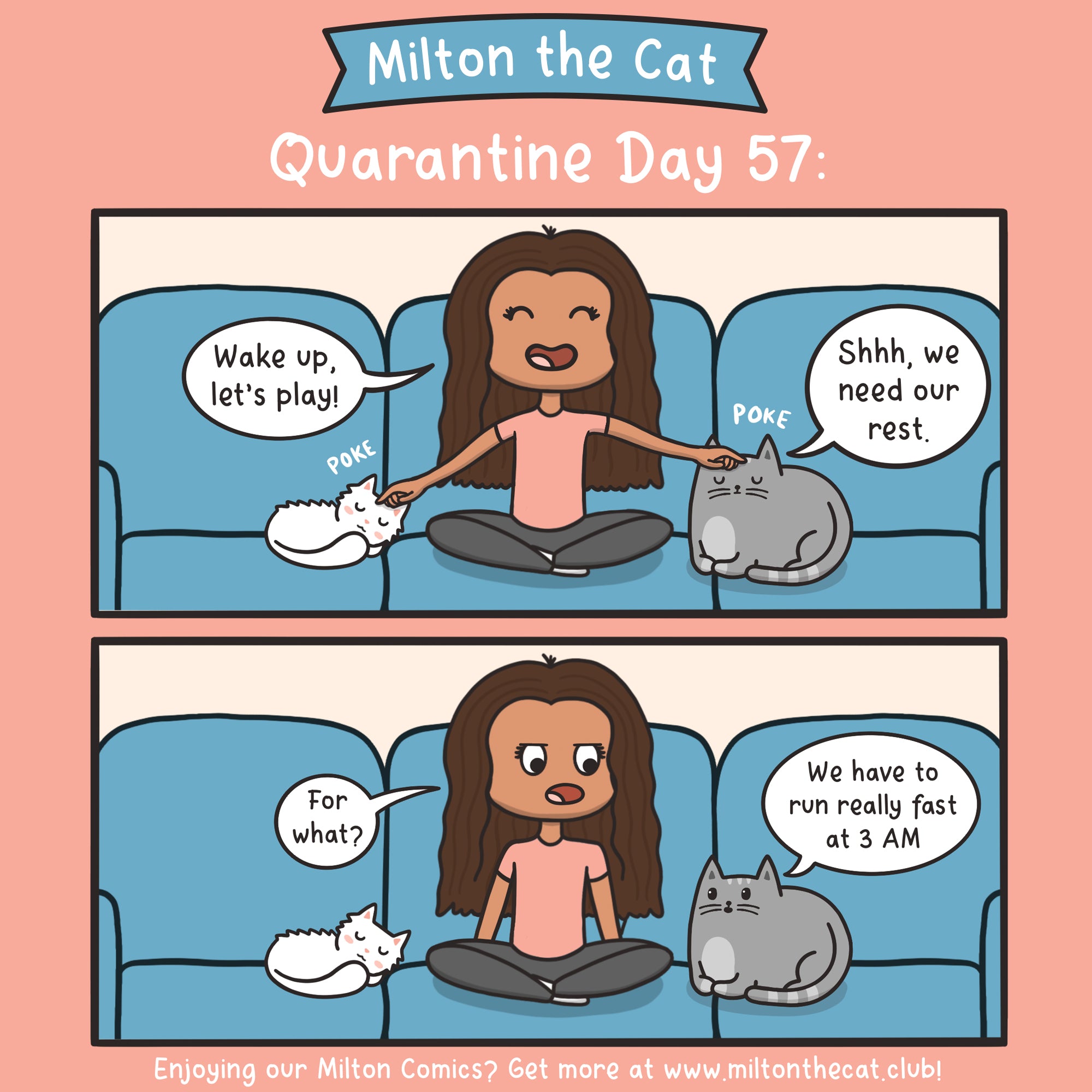 Quarantine Log: Day 57 – Meowingtons