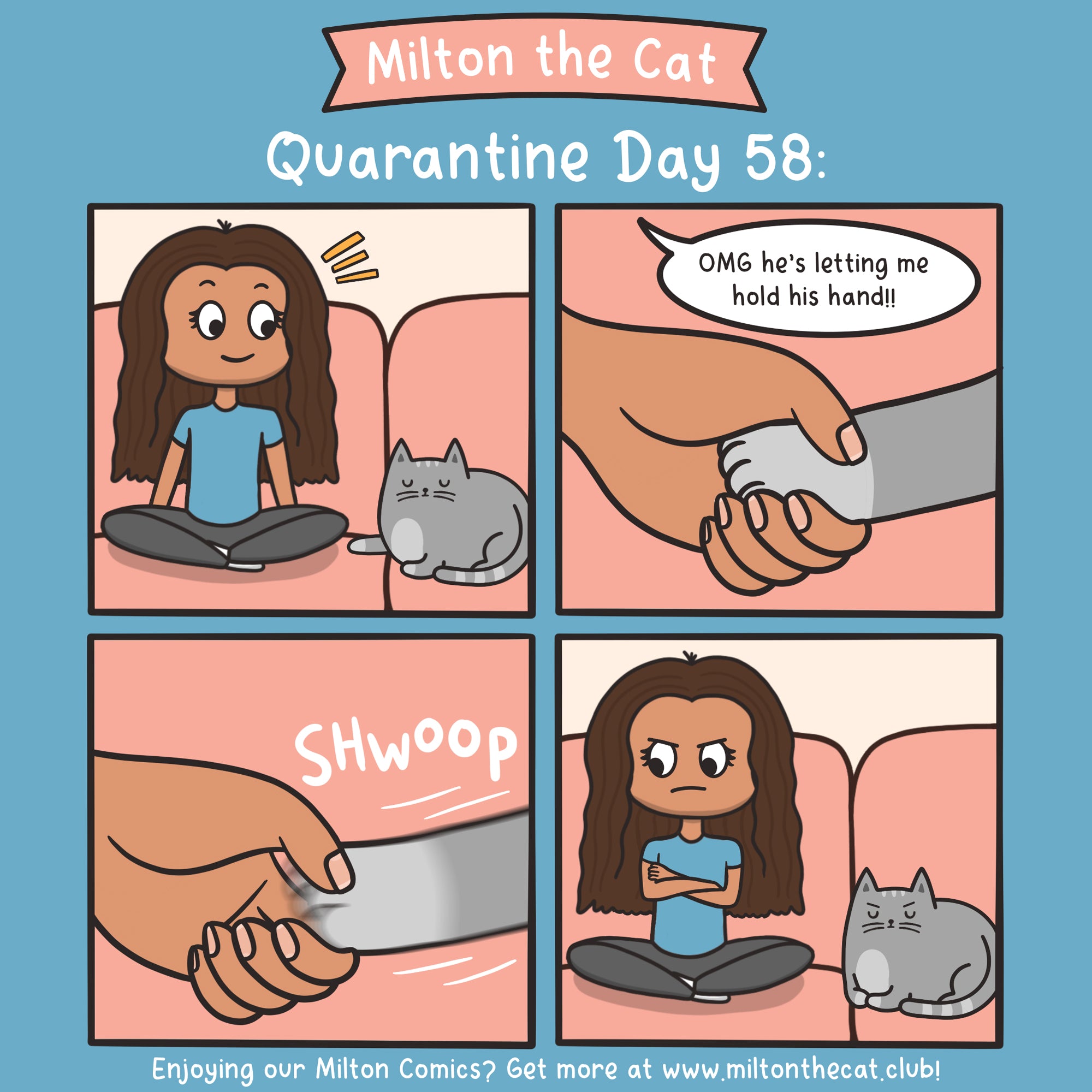 Quarantine Log: Day 58 – Meowingtons