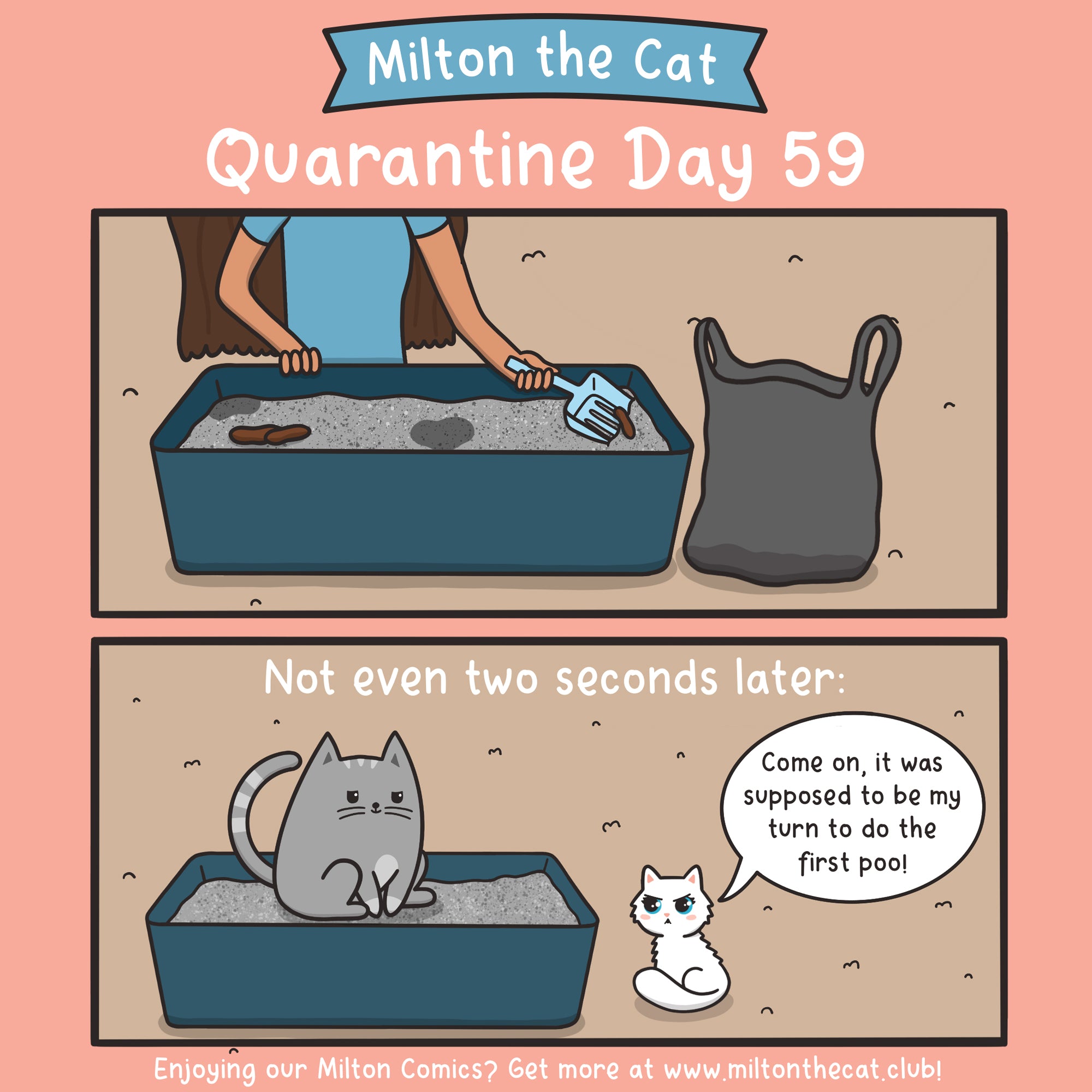 Quarantine Log: Day 59 – Meowingtons