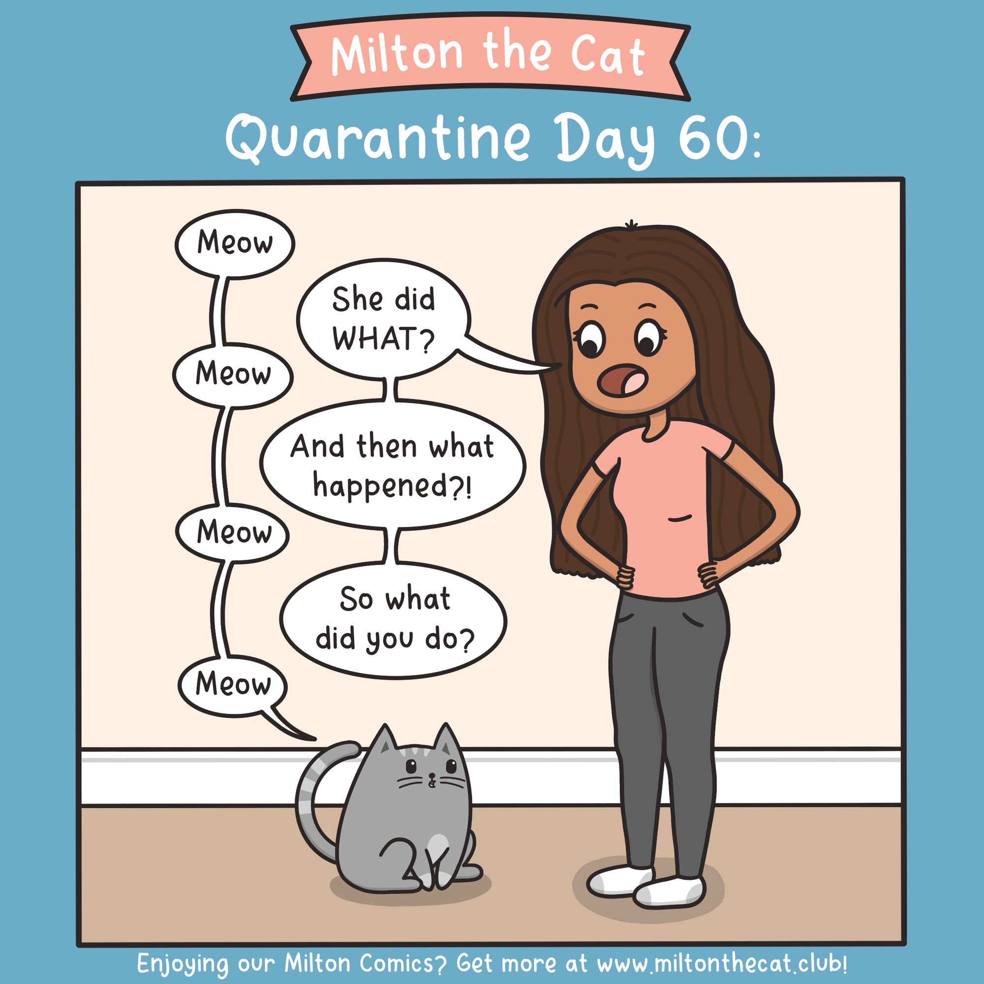 Quarantine Log: Day 60 – Meowingtons