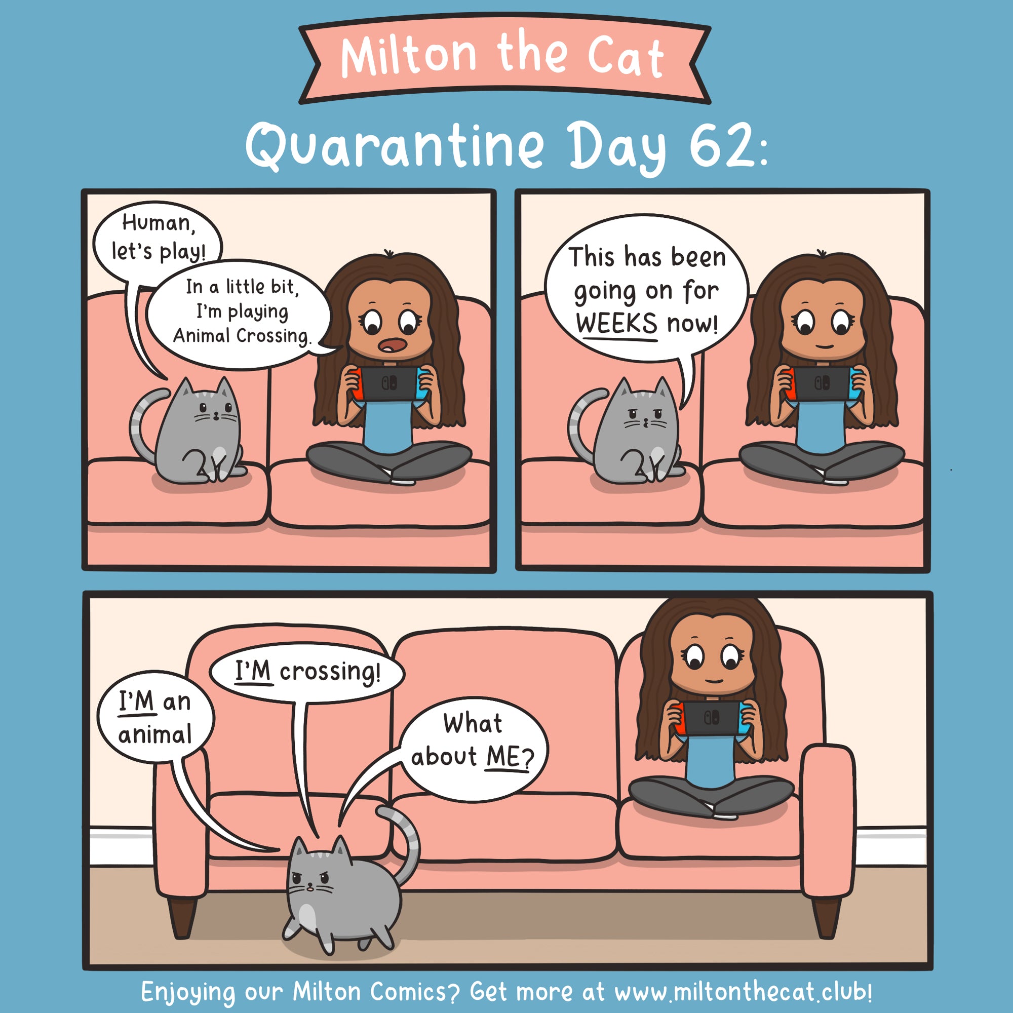 Quarantine Log: Day 62 – Meowingtons