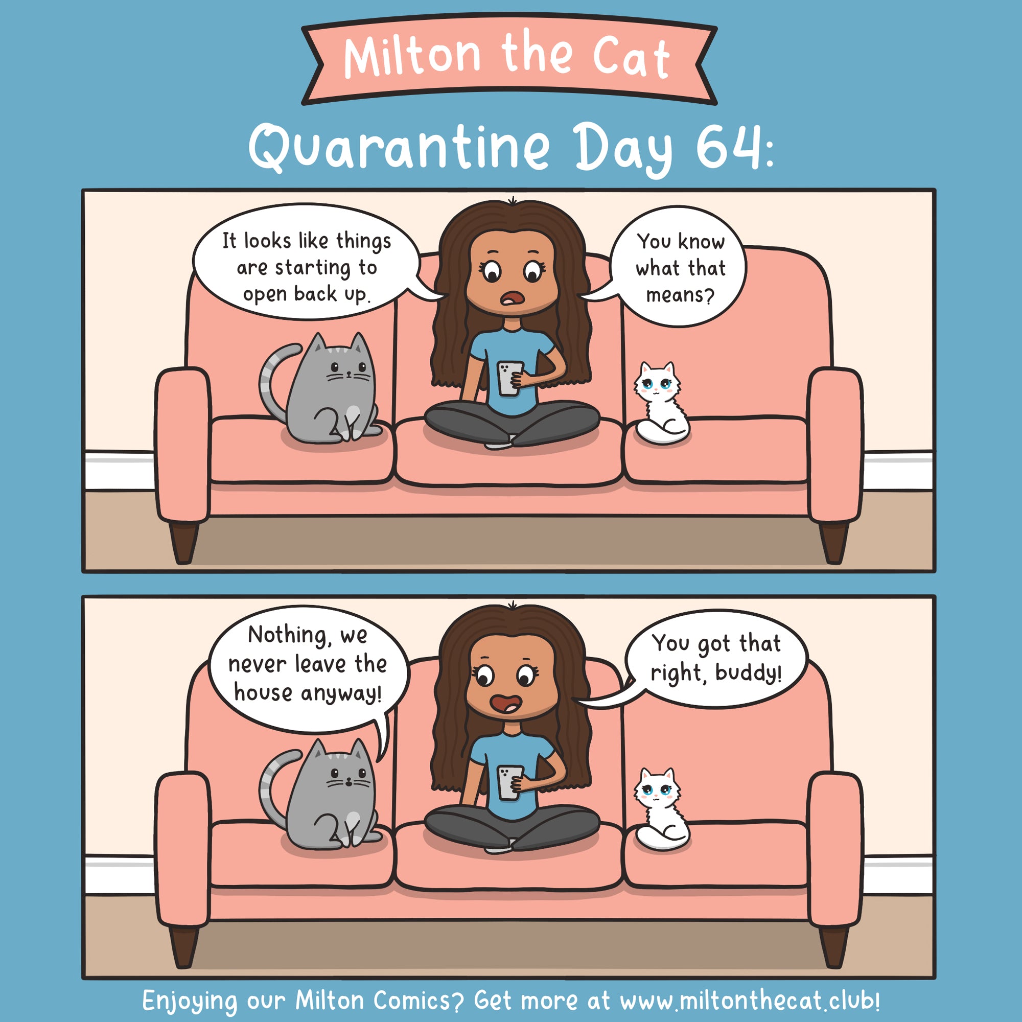 Final Quarantine Log: Day 64 – Meowingtons