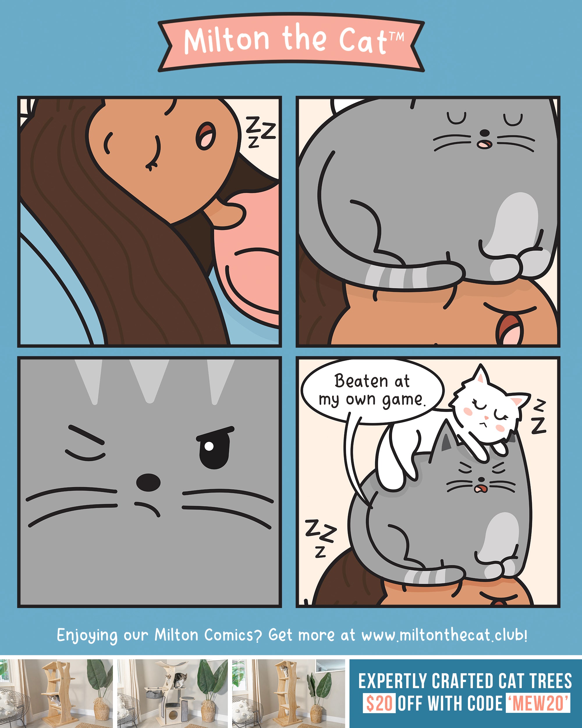 The Student Becomes The Master – Meowingtons