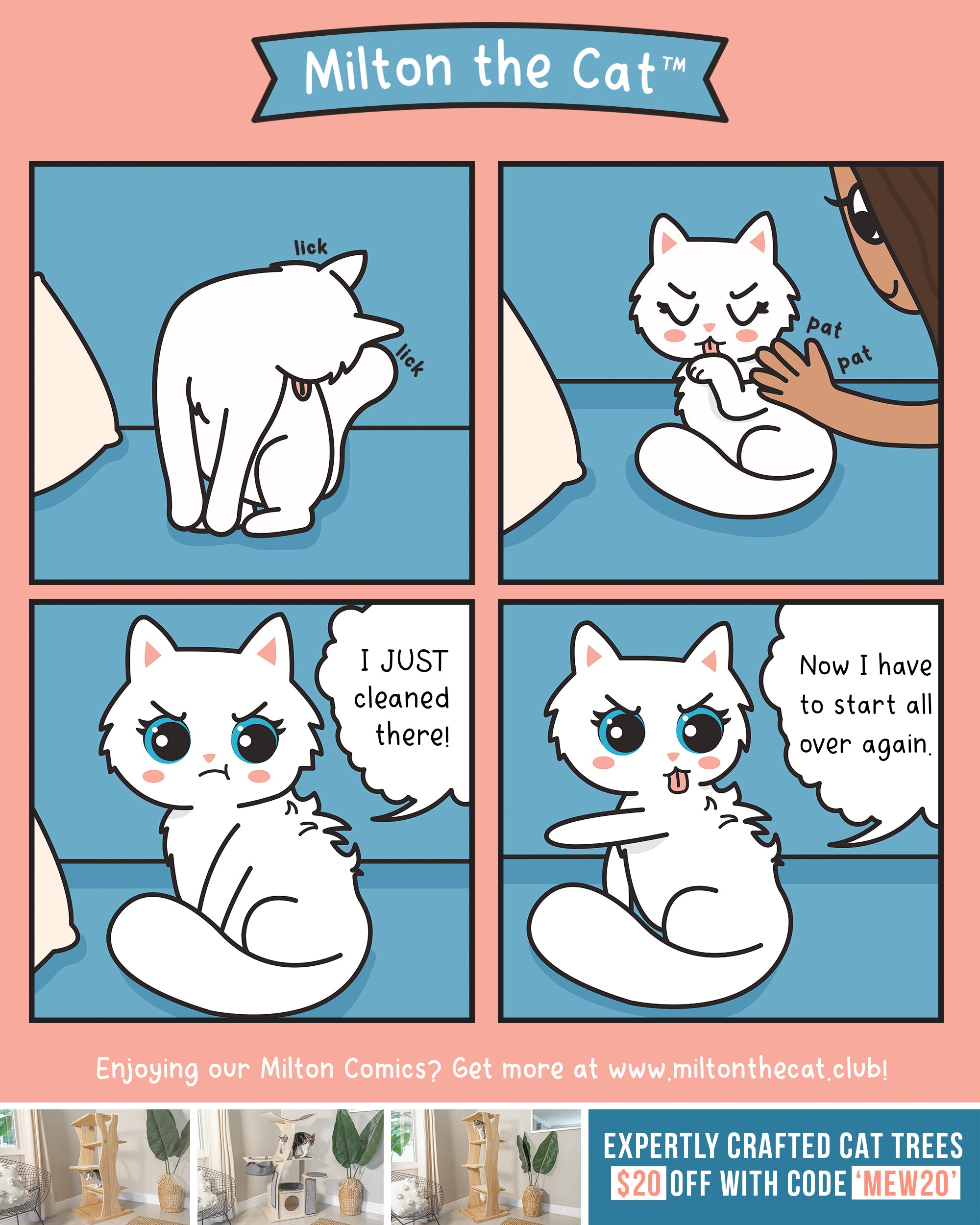 Grooming Woes – Meowingtons
