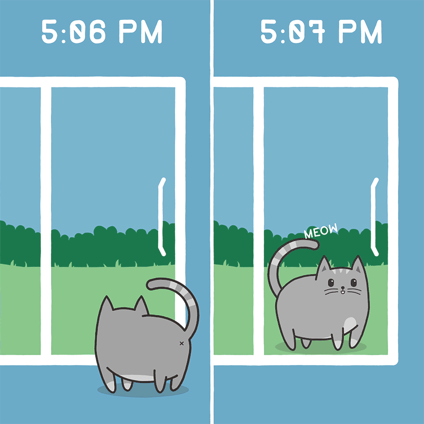 Let Me Out! Wait! Let Me In! – Meowingtons