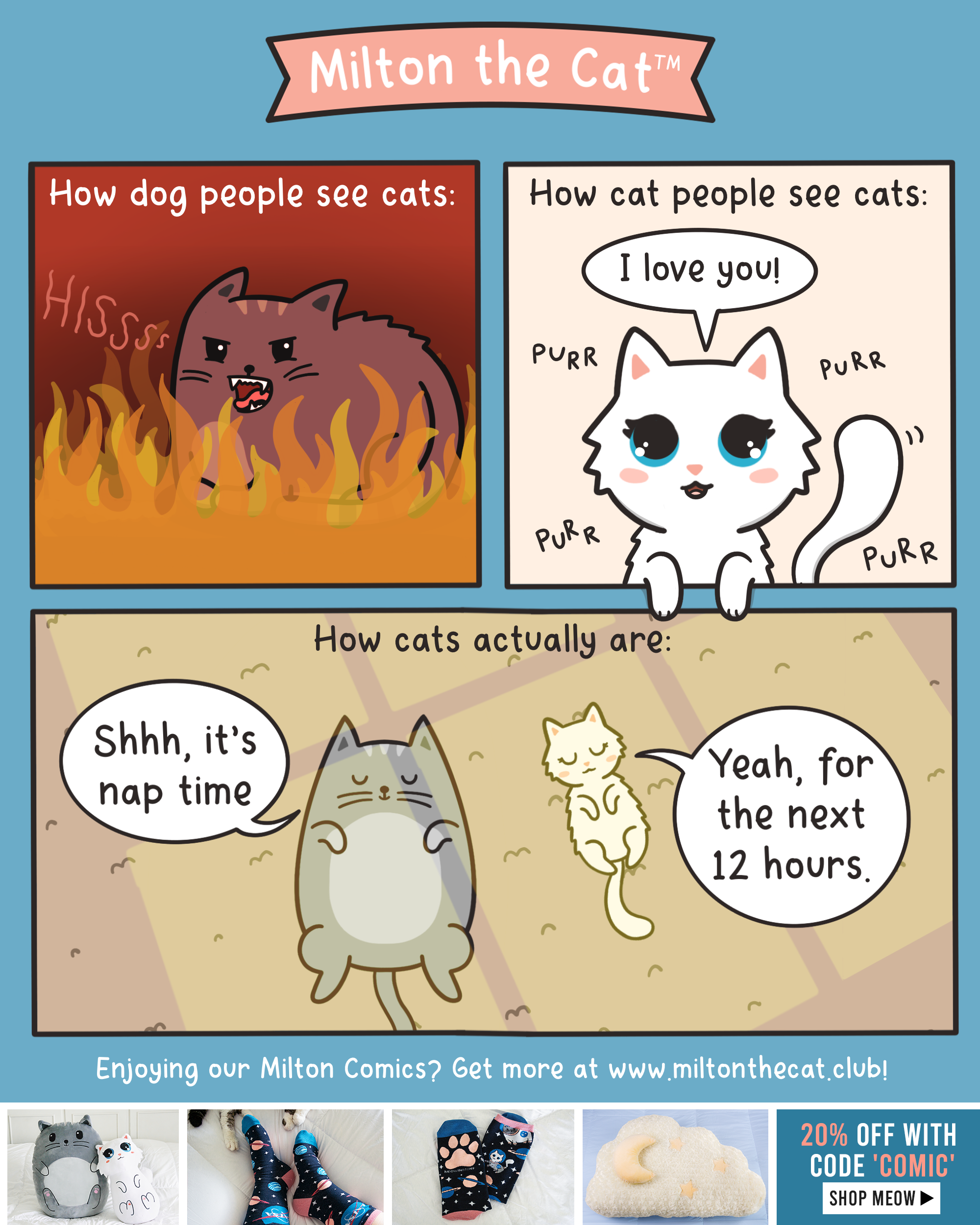 How Dog People See Cats Vs How They Actually Are – Meowingtons