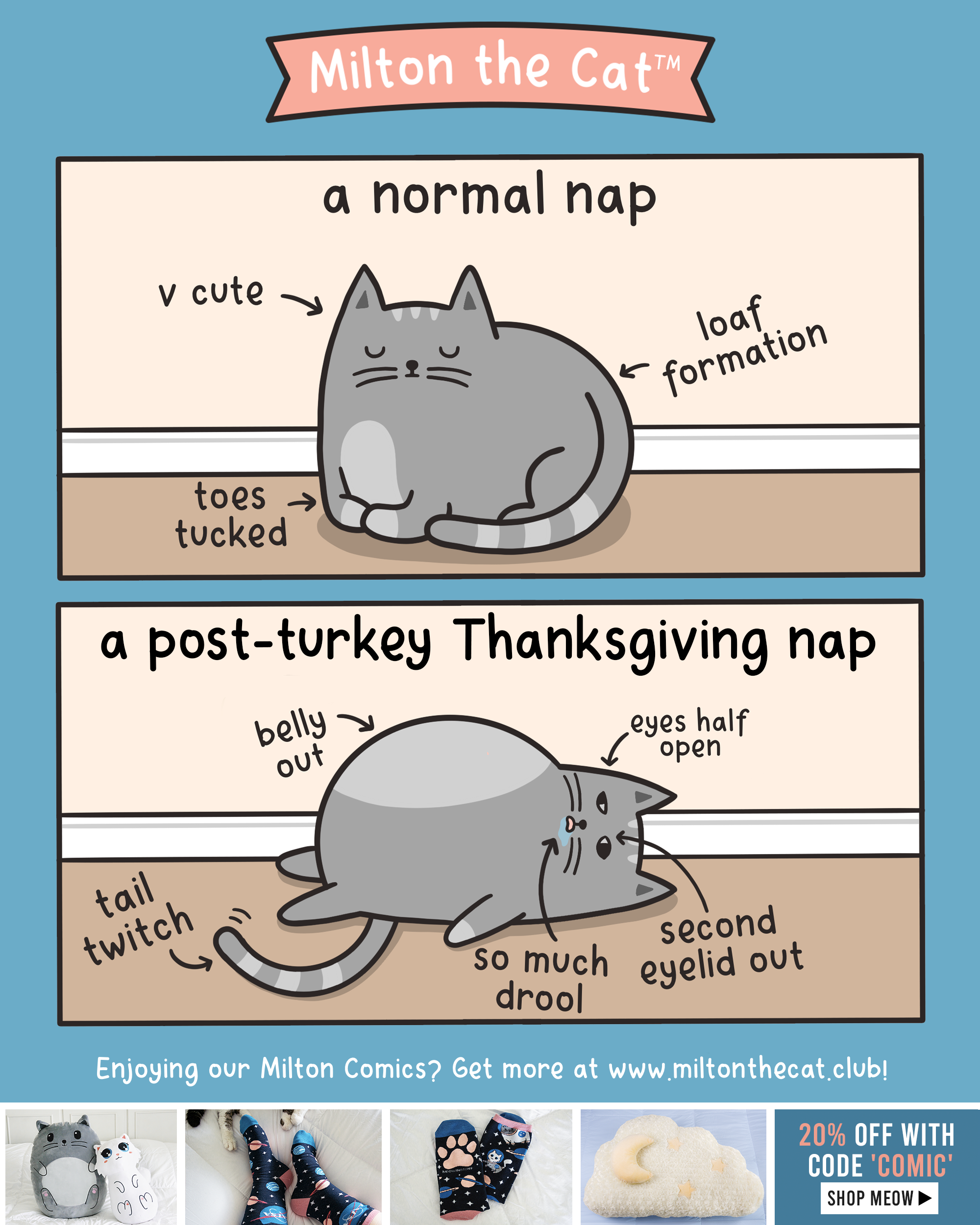 Post-Thanksgiving Feast Nap – Meowingtons