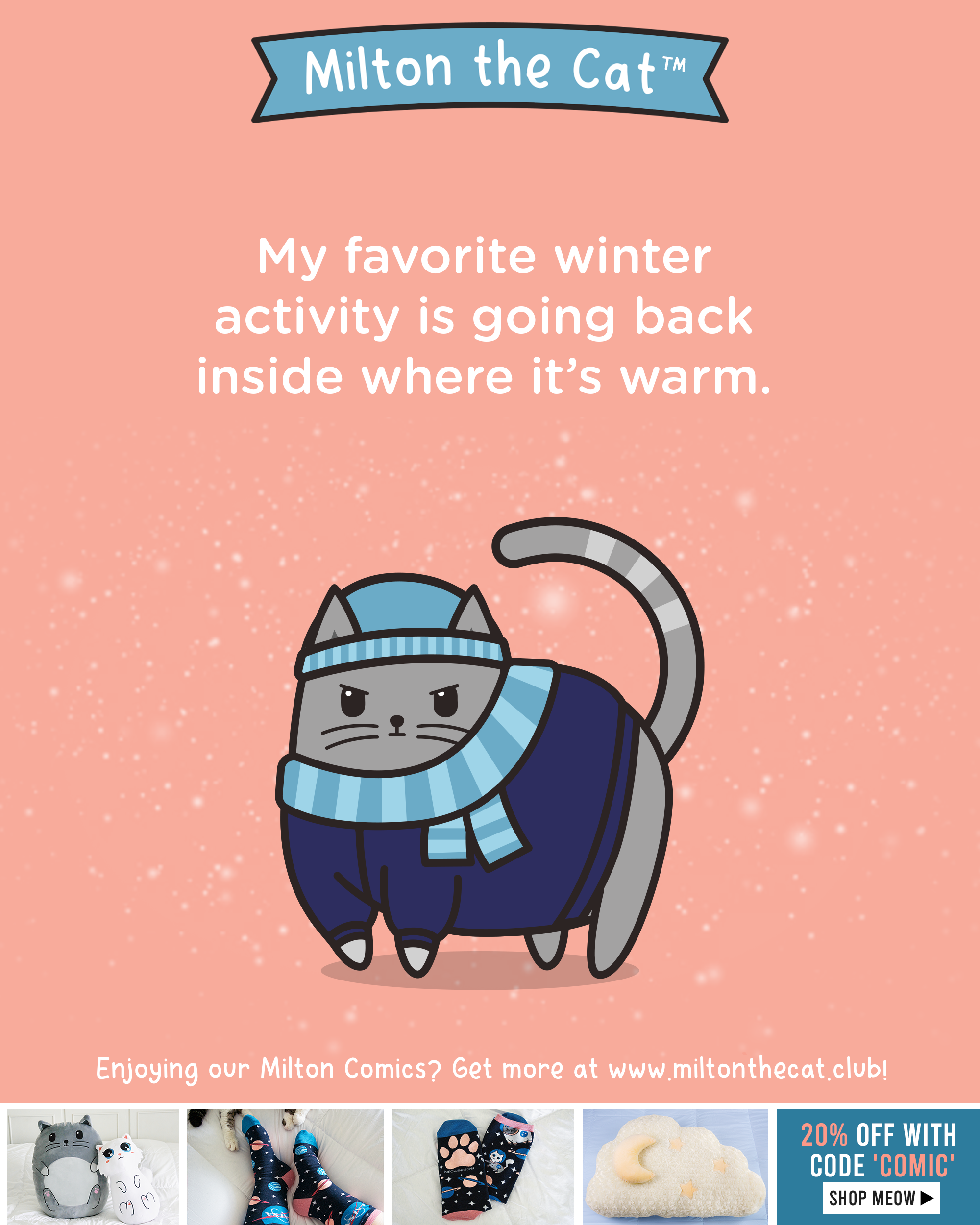 Favorite Winter Activities... – Meowingtons