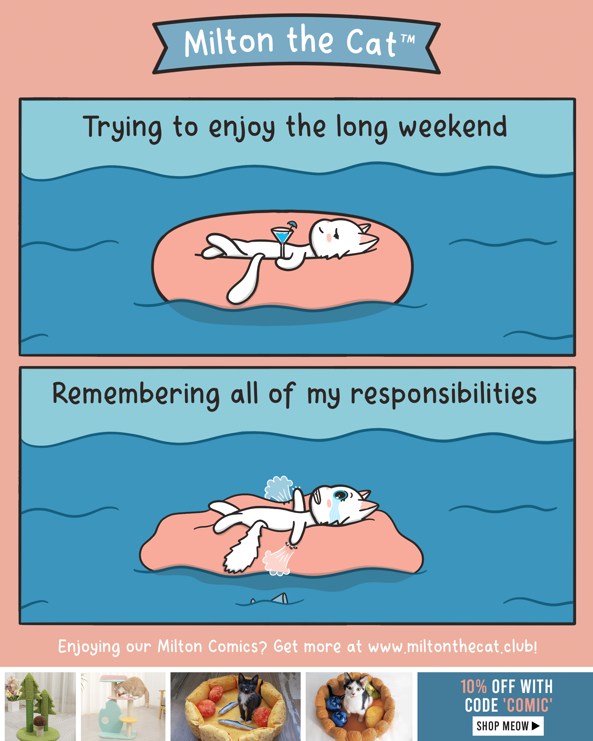 Trying to Enjoy the Long Weekend – Meowingtons