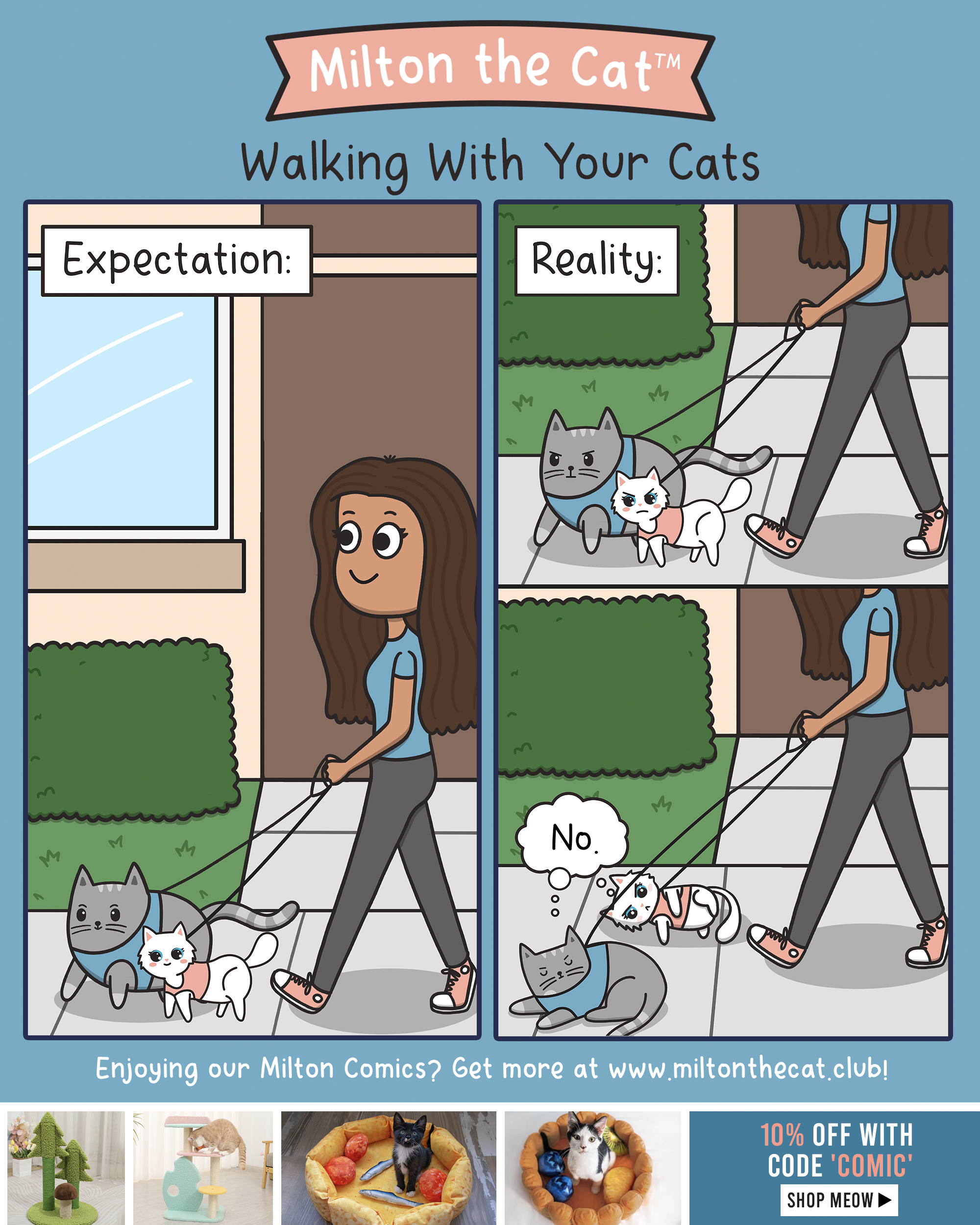 Cat Expectation Reality