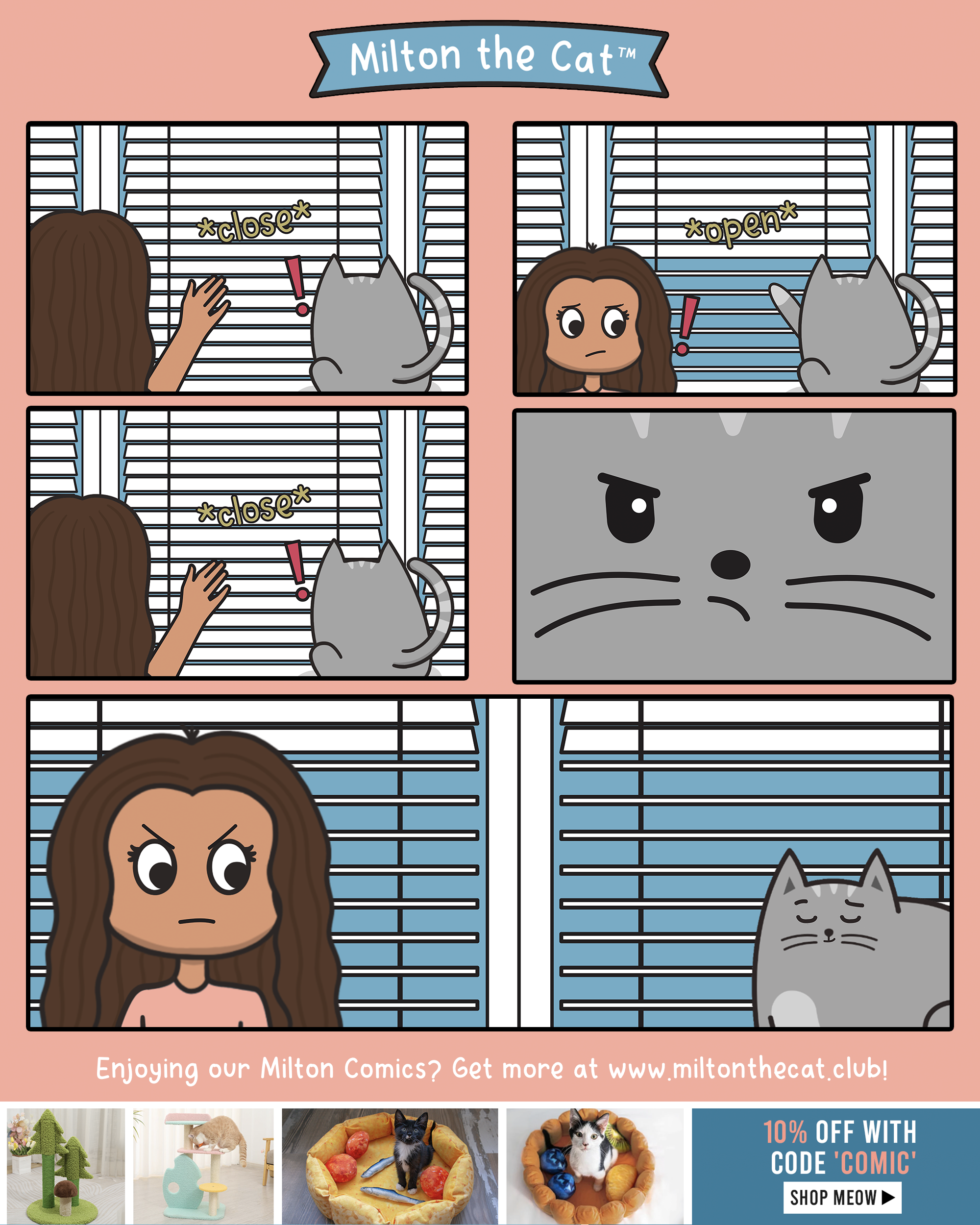 To The Victor Goes The View – Meowingtons