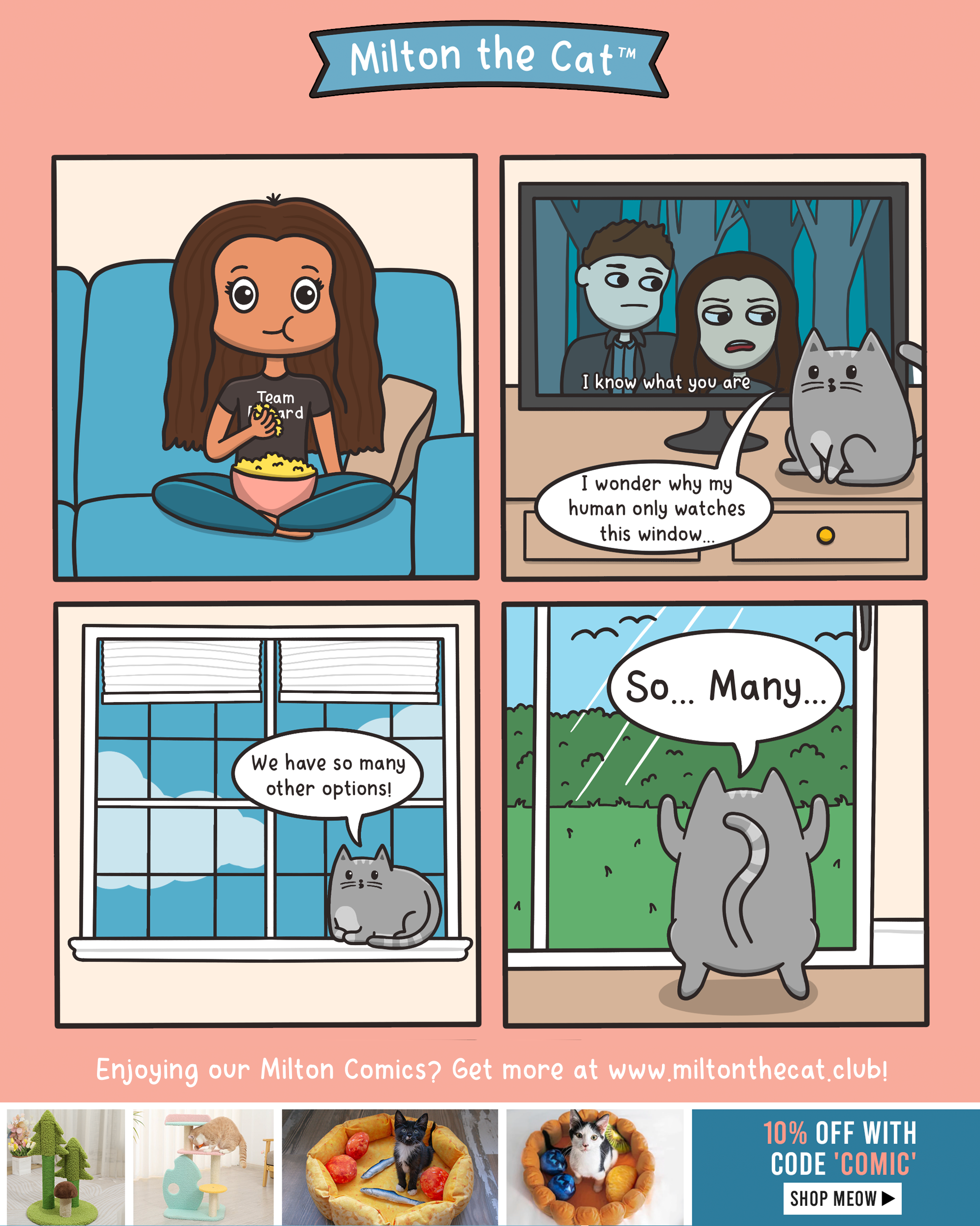 The World Outside Your TV – Meowingtons