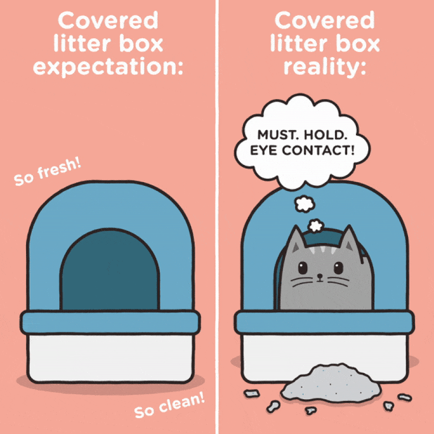 Expectation VS Reality: Covered Litter Boxes – Meowingtons