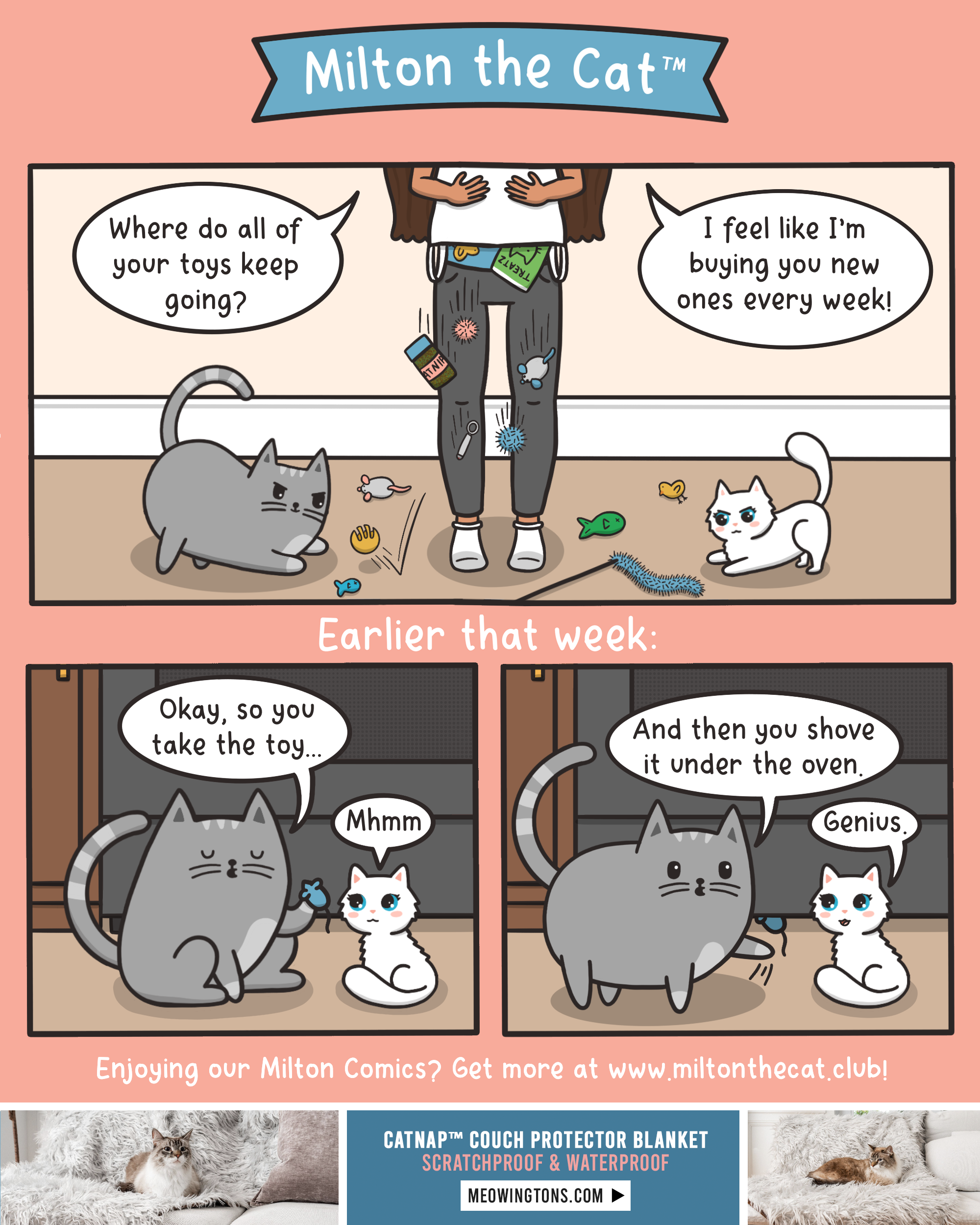 It Is The Way – Meowingtons