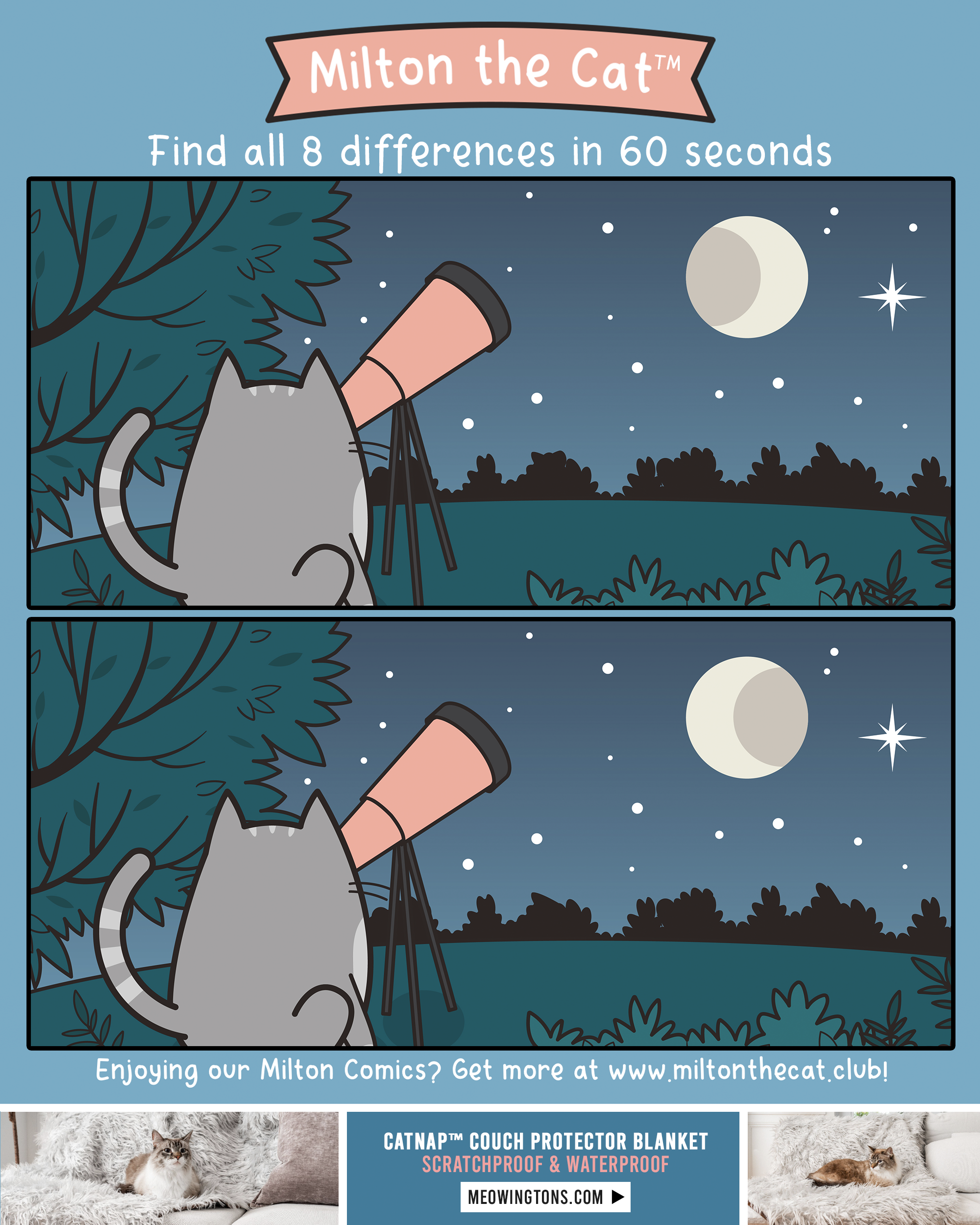 Game Time: Spot The Difference – Meowingtons