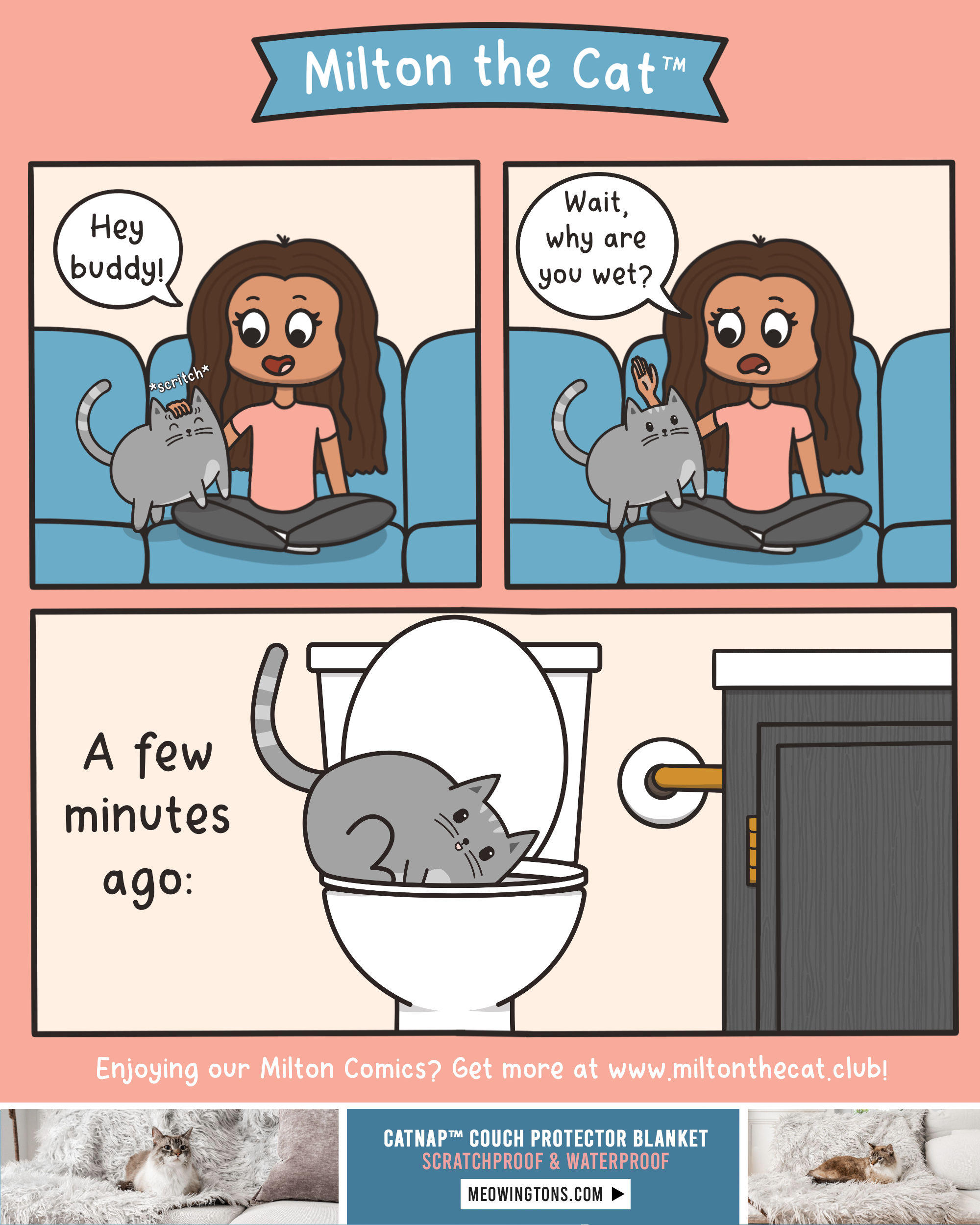 This is Perfectly Fine. – Meowingtons