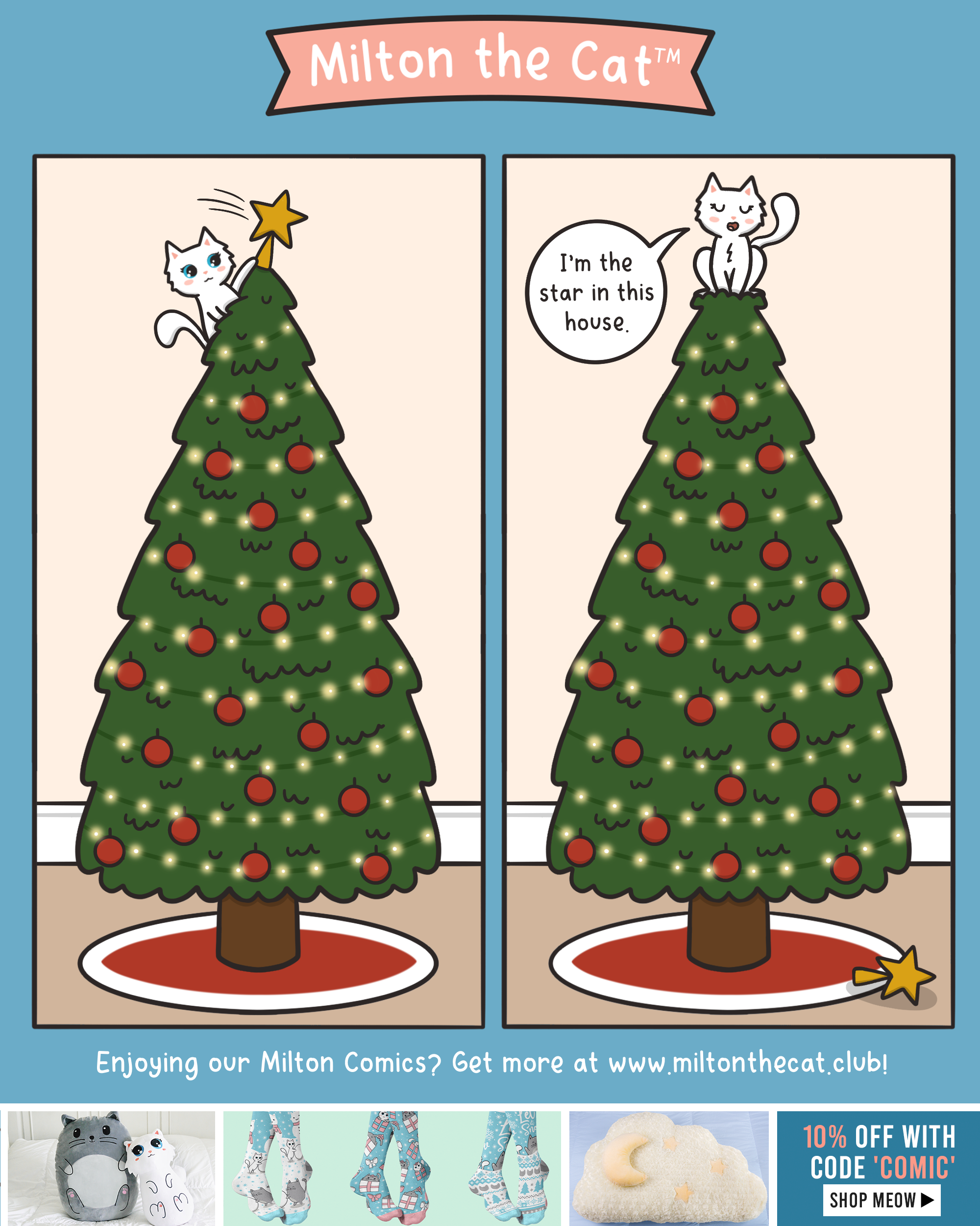 The Star – Meowingtons