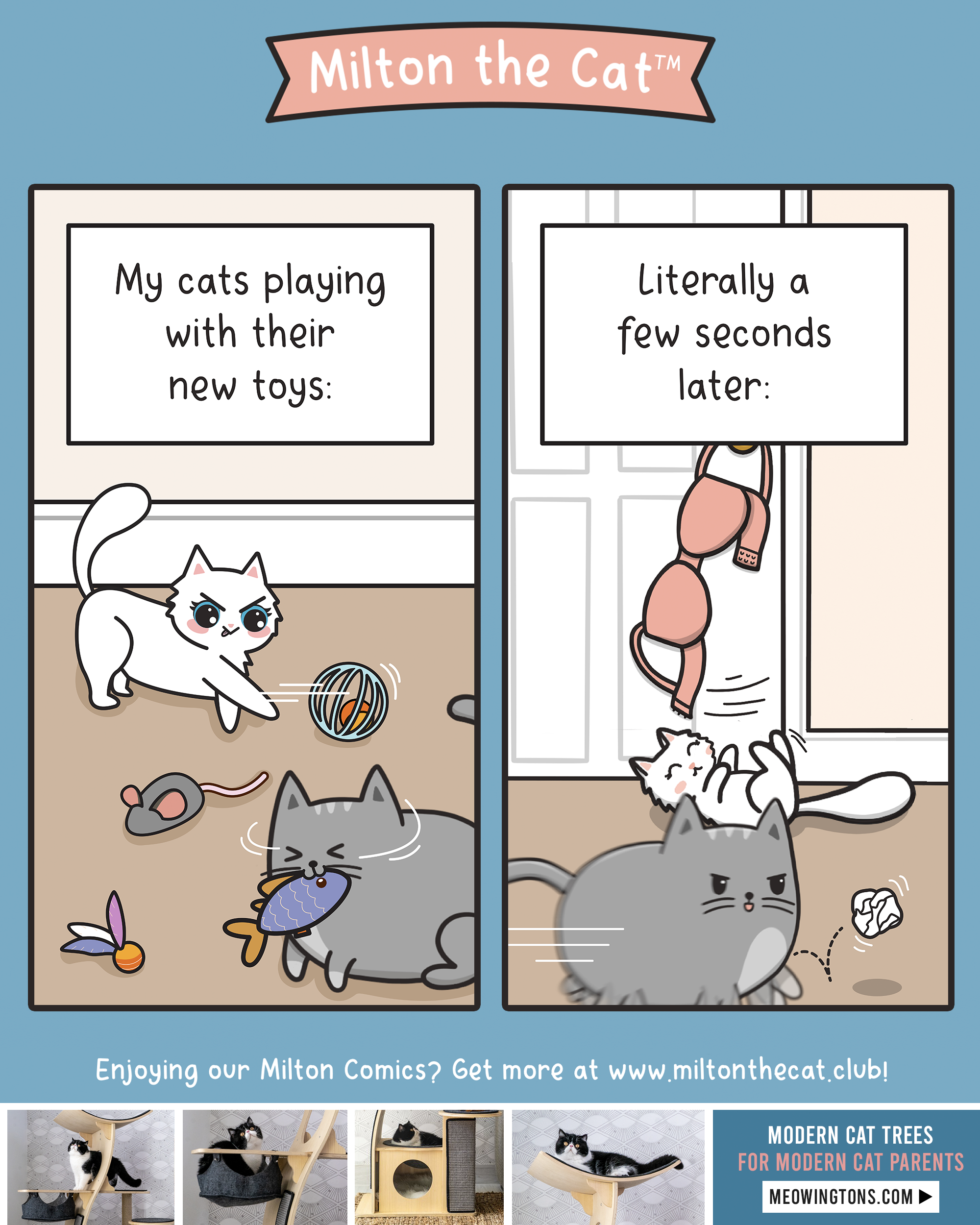 I'll Still Try, Though – Meowingtons