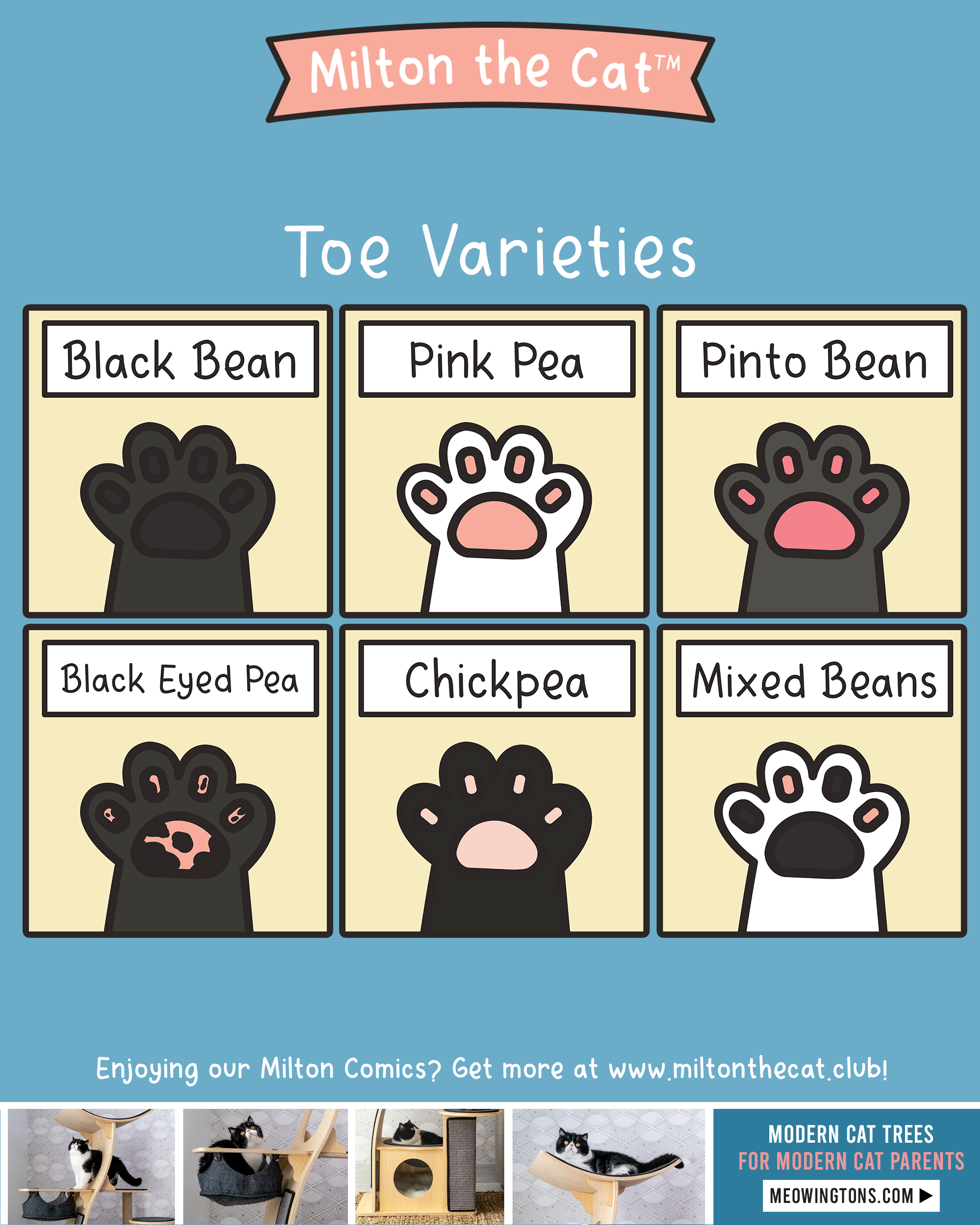 An Assortment of Beans – Meowingtons