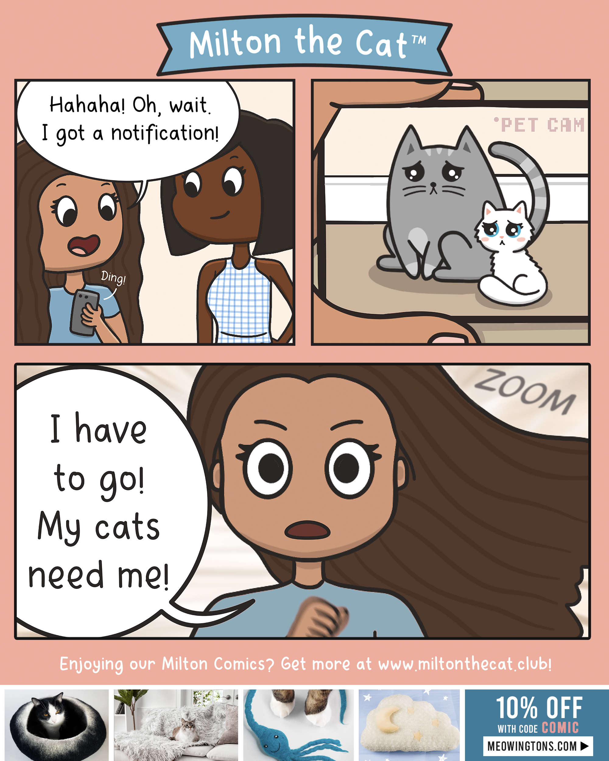 Cat Curfew – Meowingtons
