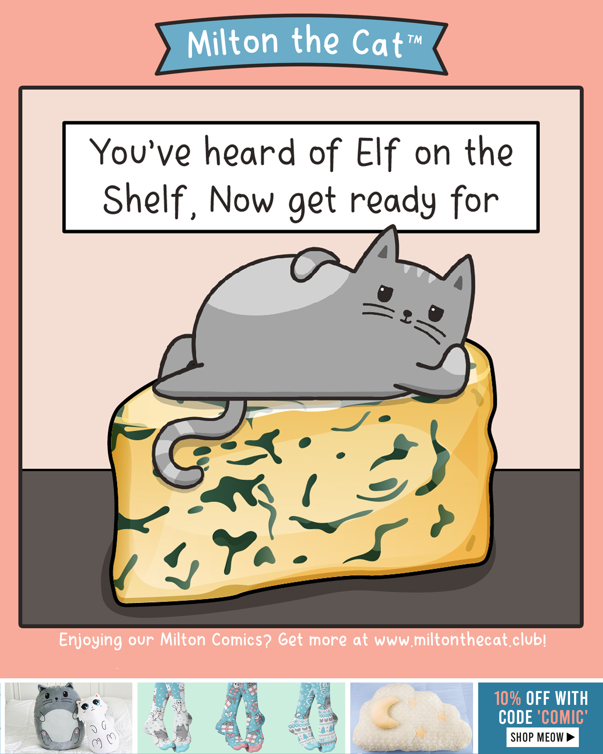 You've Heard Of Elf On The Shelf...(Pt 2) – Meowingtons