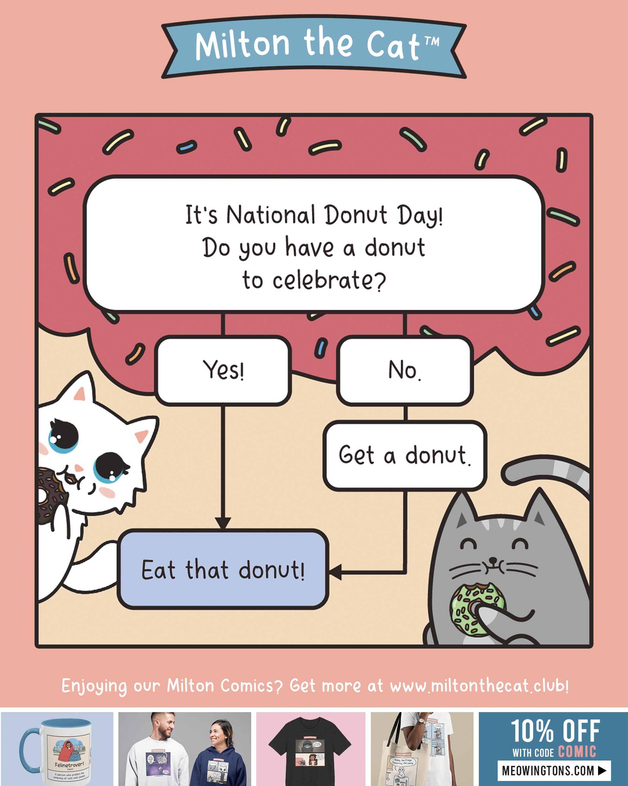 Happy National Donut Day! 🍩 – Meowingtons