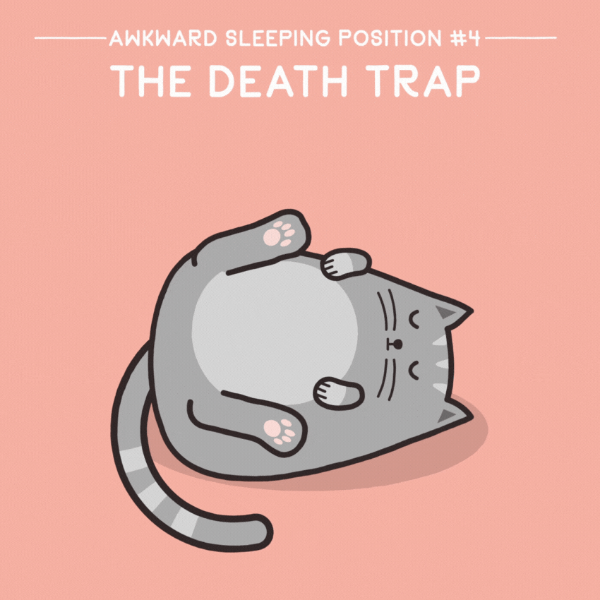 Awkward Sleeping Position #4 – Meowingtons