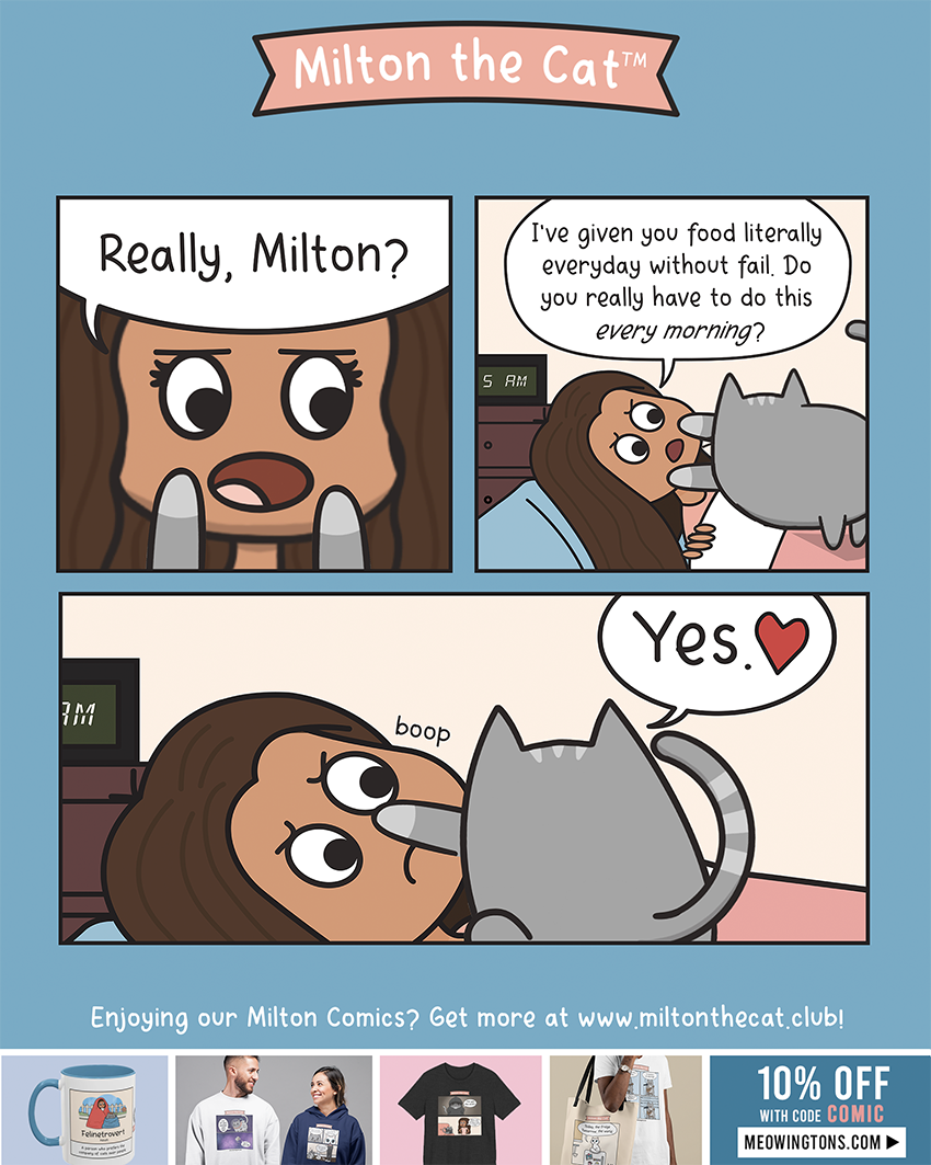 Just In Case You Forget – Meowingtons