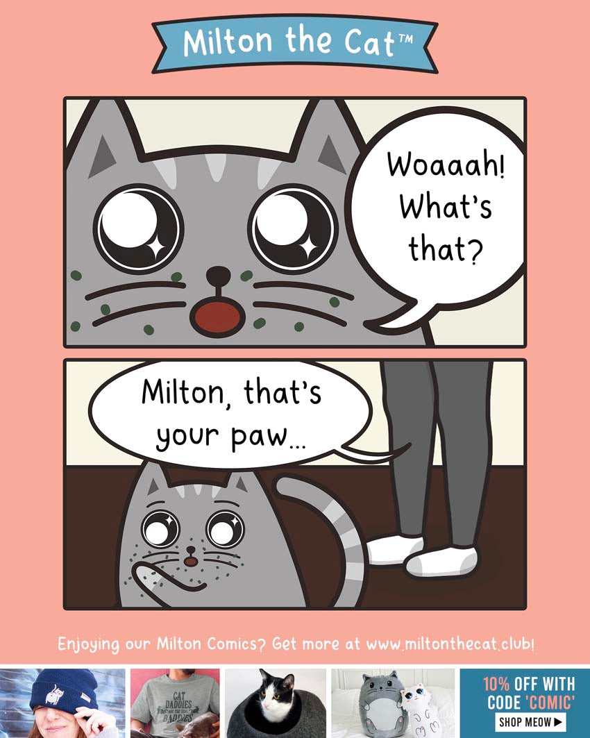 When The Catnip Hits Meowingtons