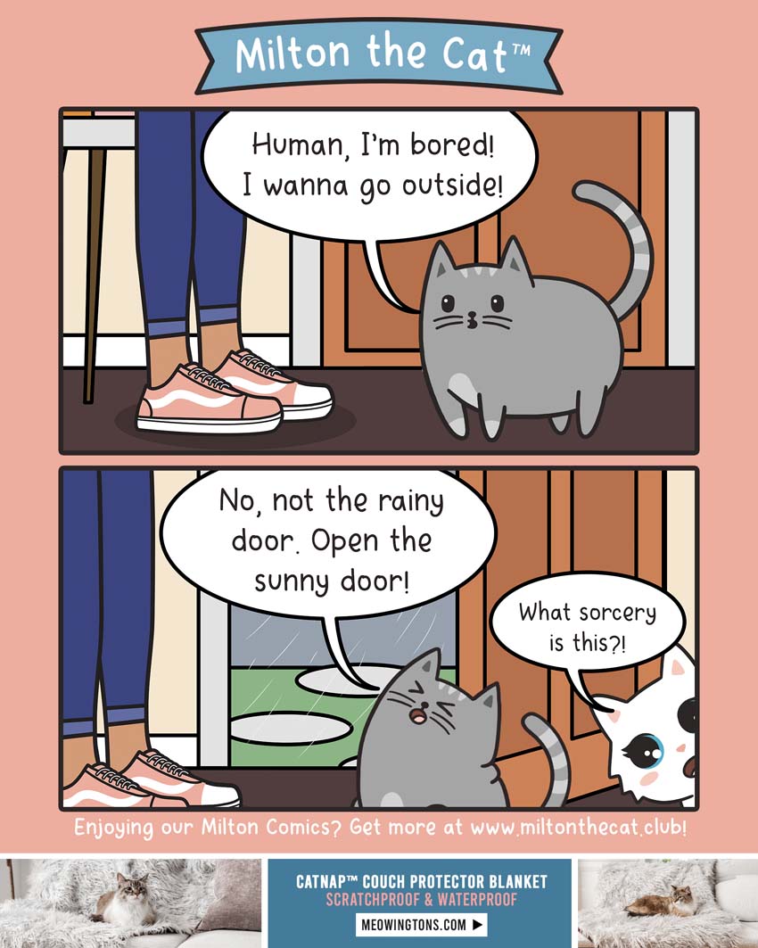 Make It Work, Human! – Meowingtons