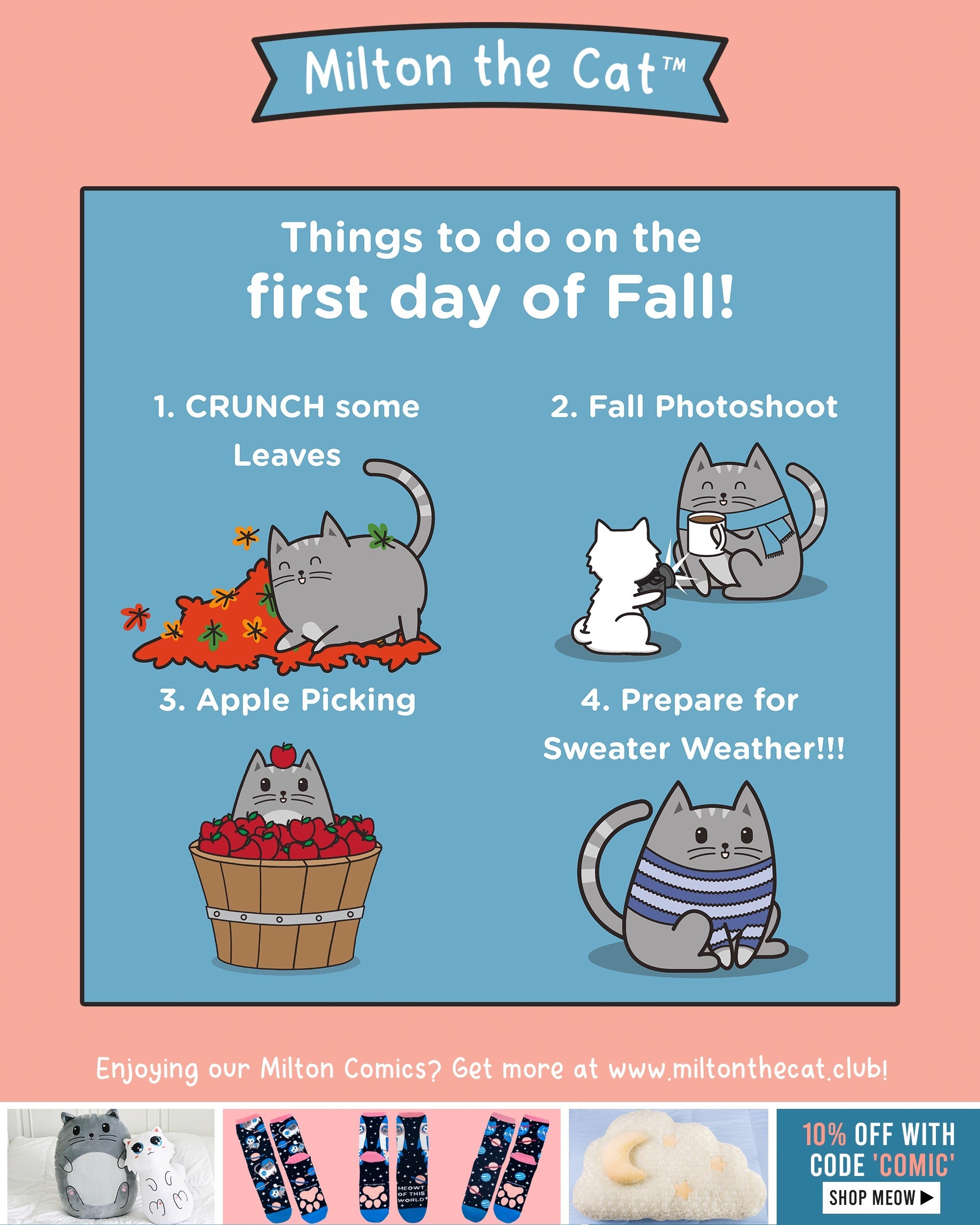 Happy First Day of Fall! – Meowingtons