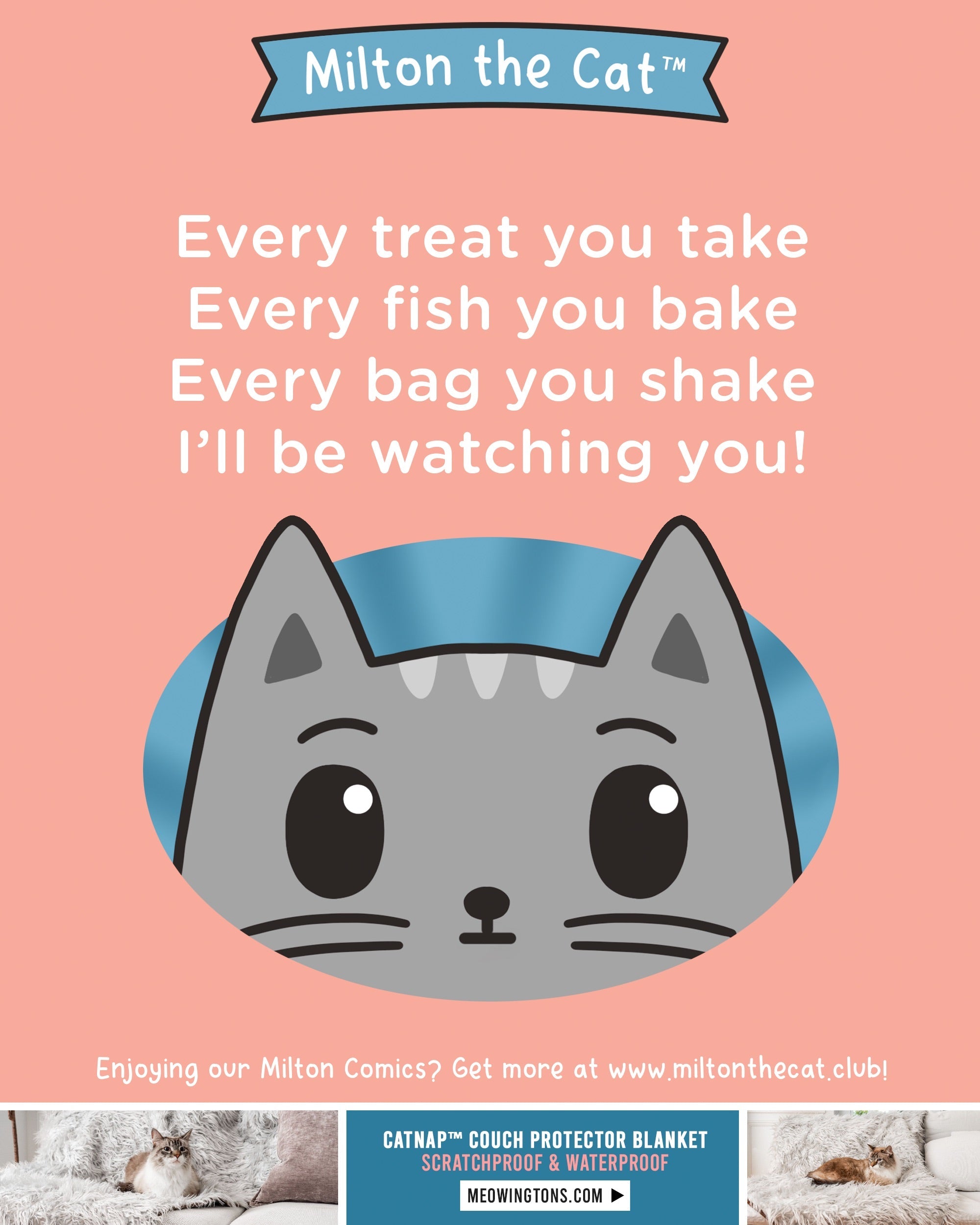 Always Watching – Meowingtons