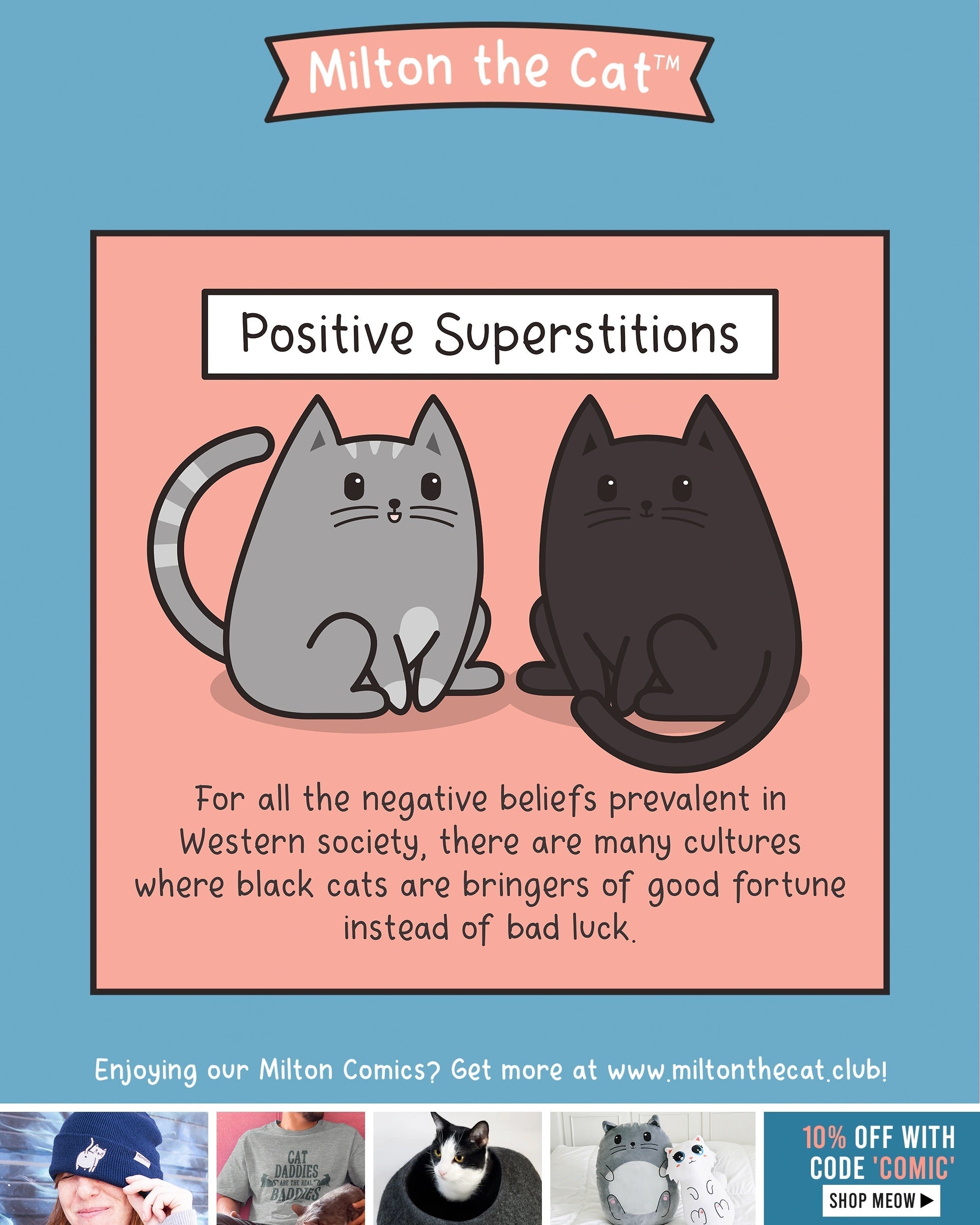 Black Cat Day: PAWsitive Superstitions – Meowingtons